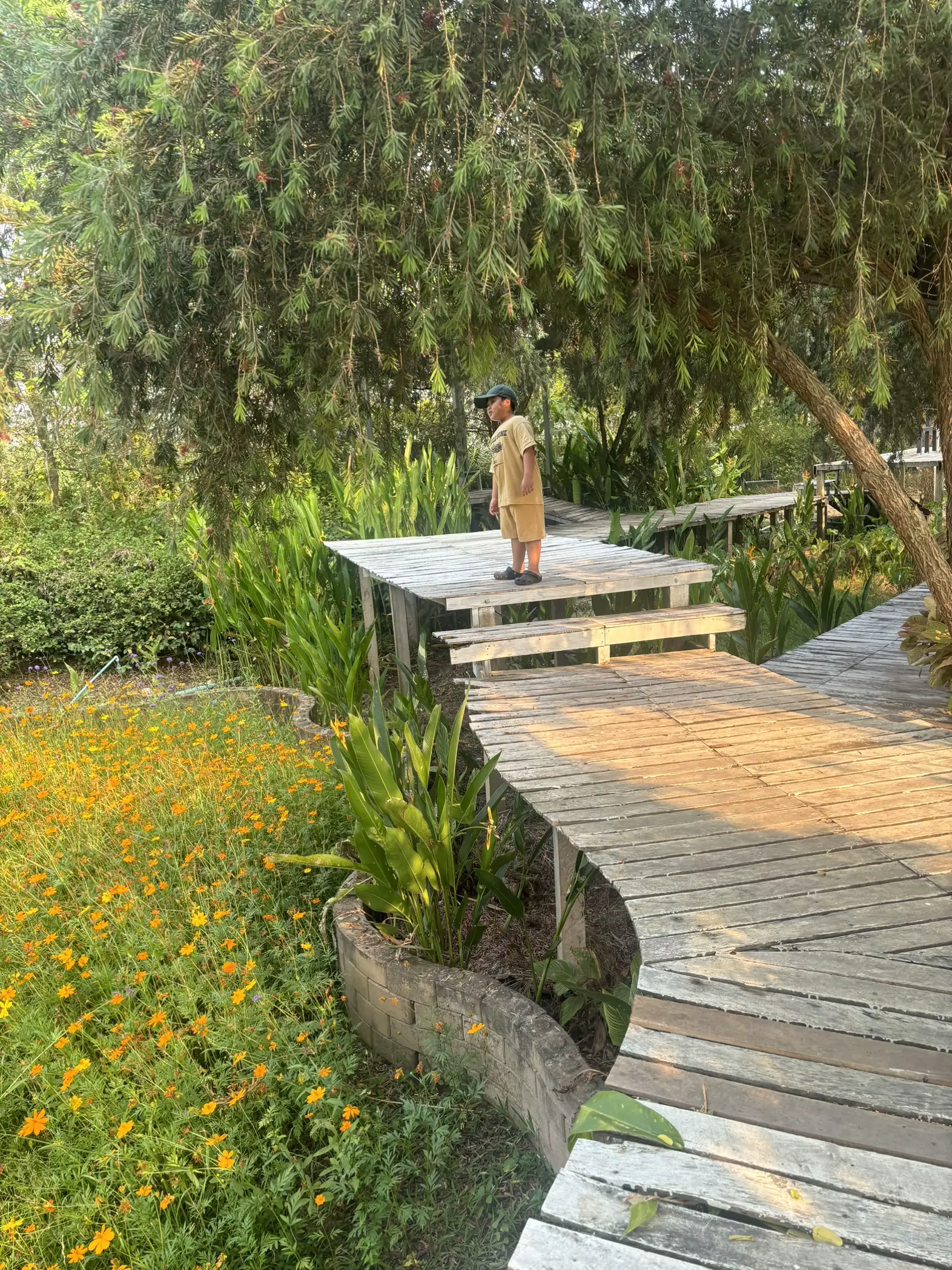 บุฟเฟ่ต์ทุเรียน หลงลับแล อุตรดิตถ์ | แกลเลอรีที่โพสต์โดย Charming Chama | Lemon8