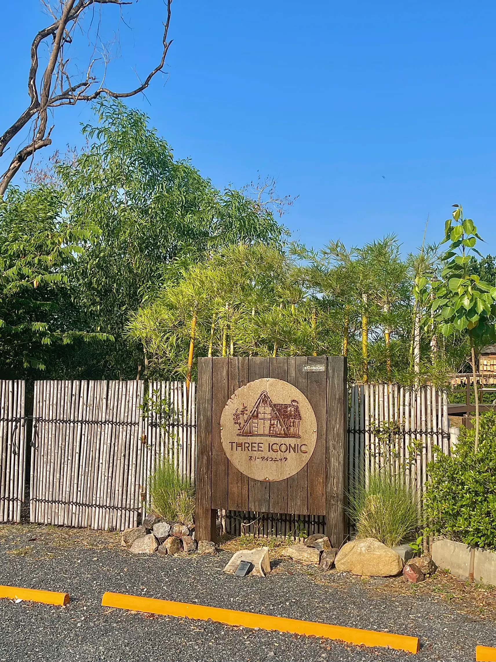 Three Iconicถ่ายรูป - การค้นหาใน Lemon8