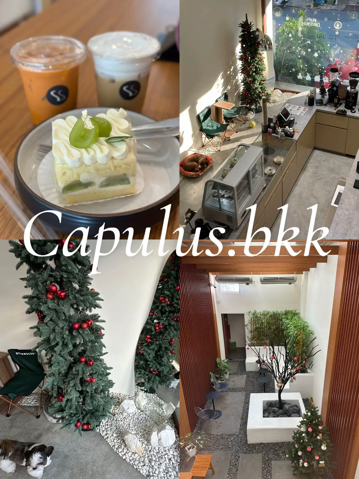 Capulus.bkk คาเฟ่บางกะปิ | แกลเลอรีที่โพสต์โดย Kanokorn_only | Lemon8