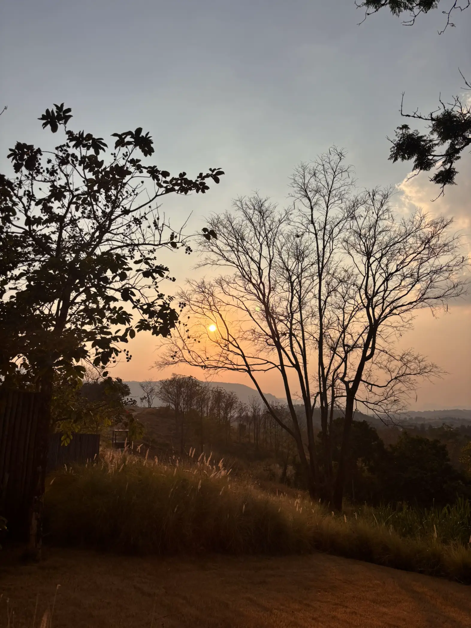 Roukh Kiri khao yai | แกลเลอรีที่โพสต์โดย Duckycream💋 | Lemon8