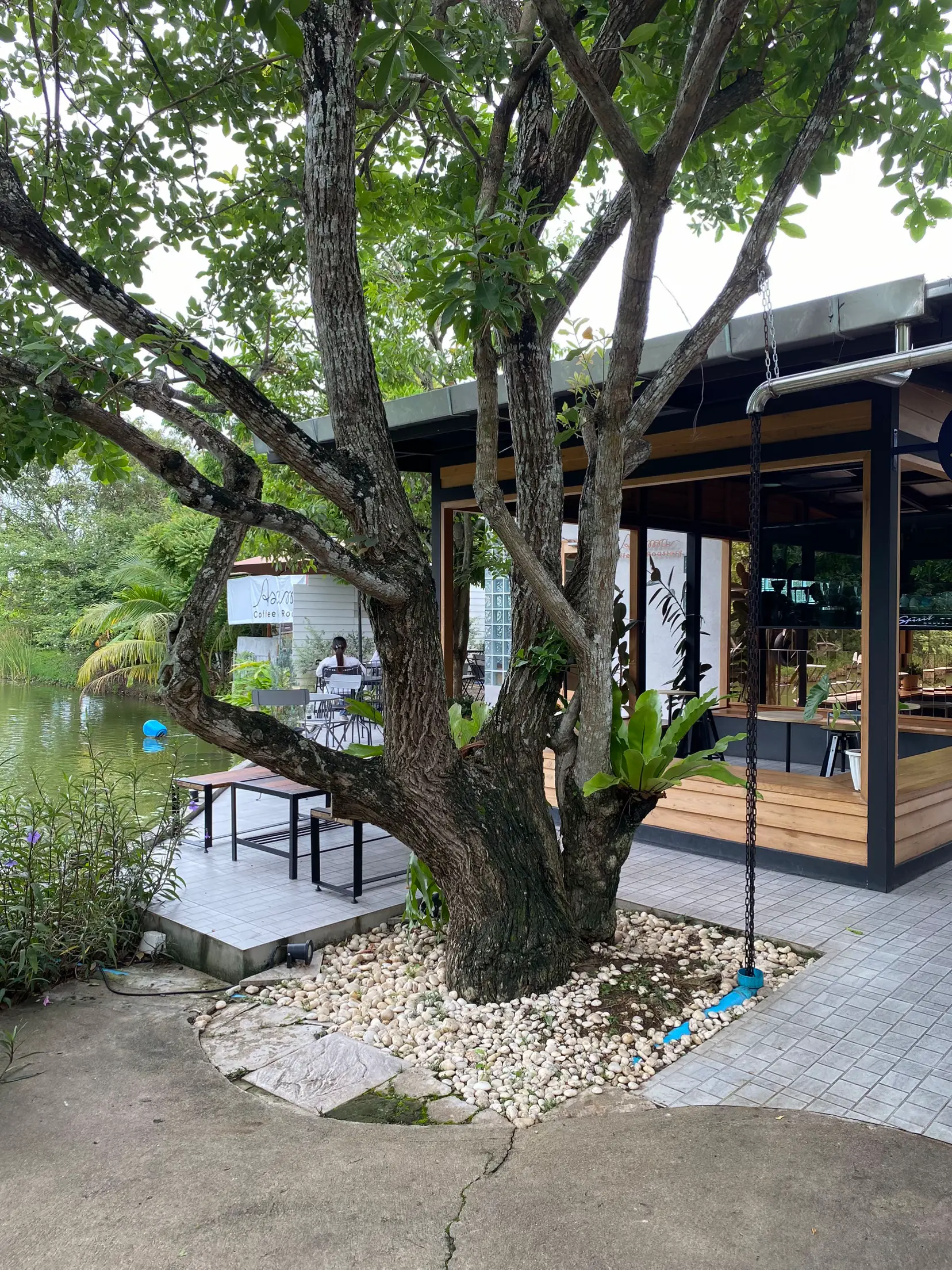 Asama Chaingmai jao 🥰 | แกลเลอรีที่โพสต์โดย Fuel Up | Lemon8