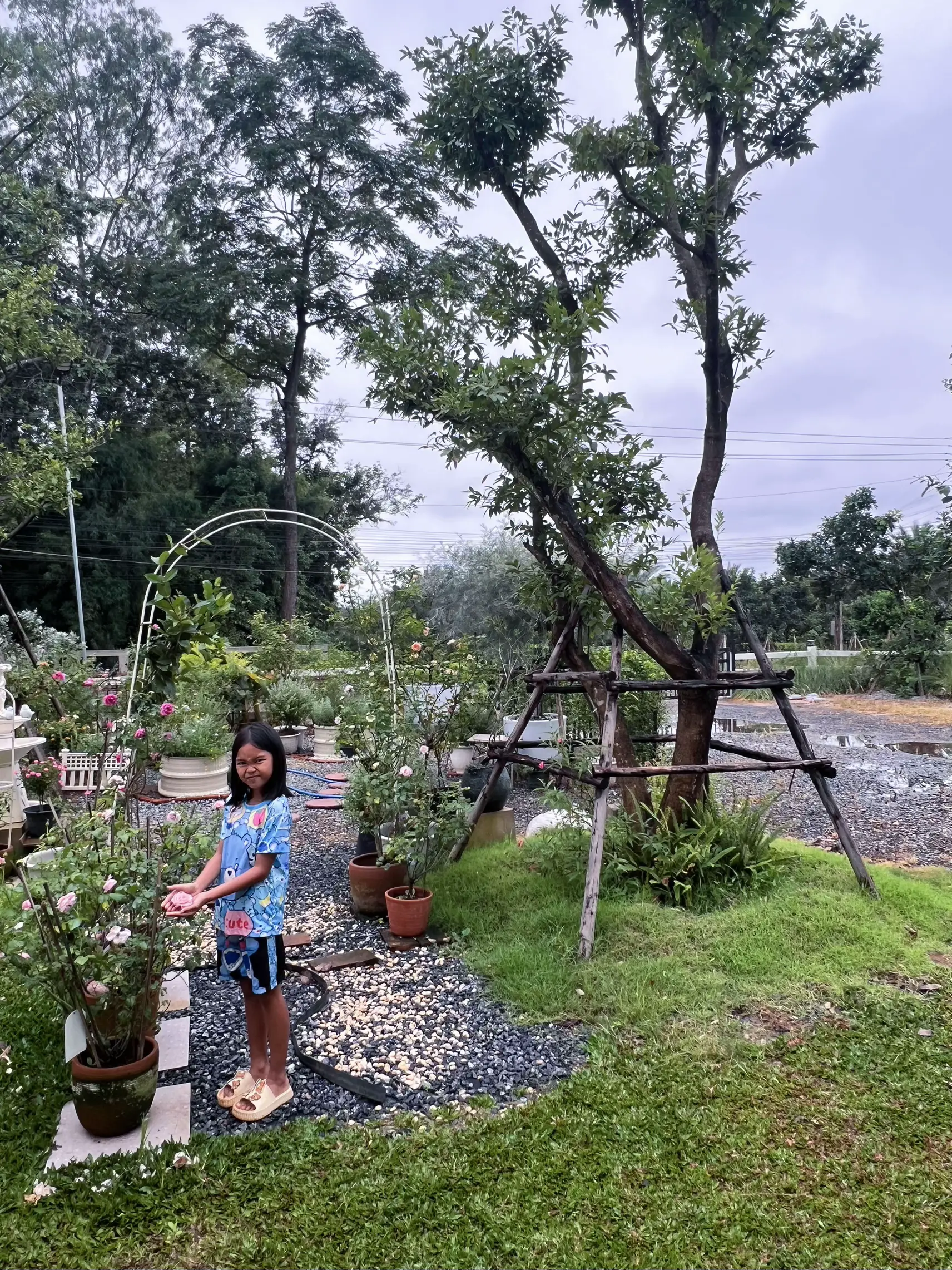 ปลูกสวนดอกไม้หน้าฝน: ความสดใสที่คุณสัมผัสได้