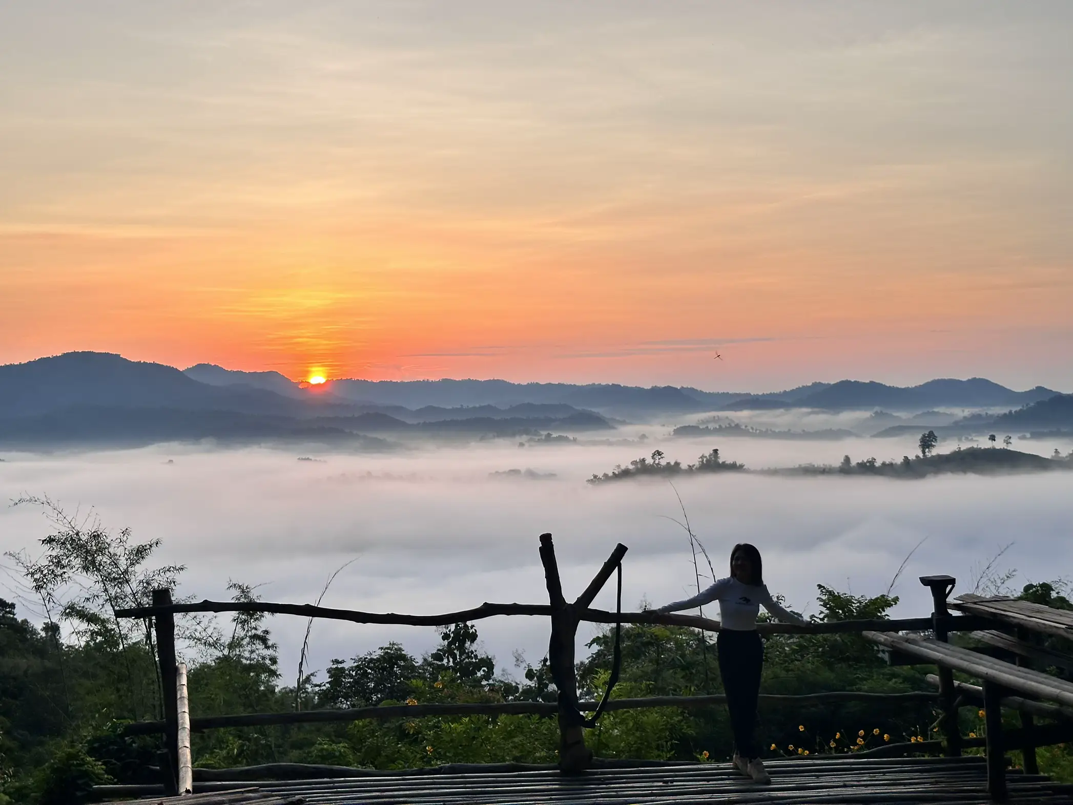 @บ้านนาต้นจั่น | แกลเลอรีที่โพสต์โดย I'Pim Pancheewa | Lemon8