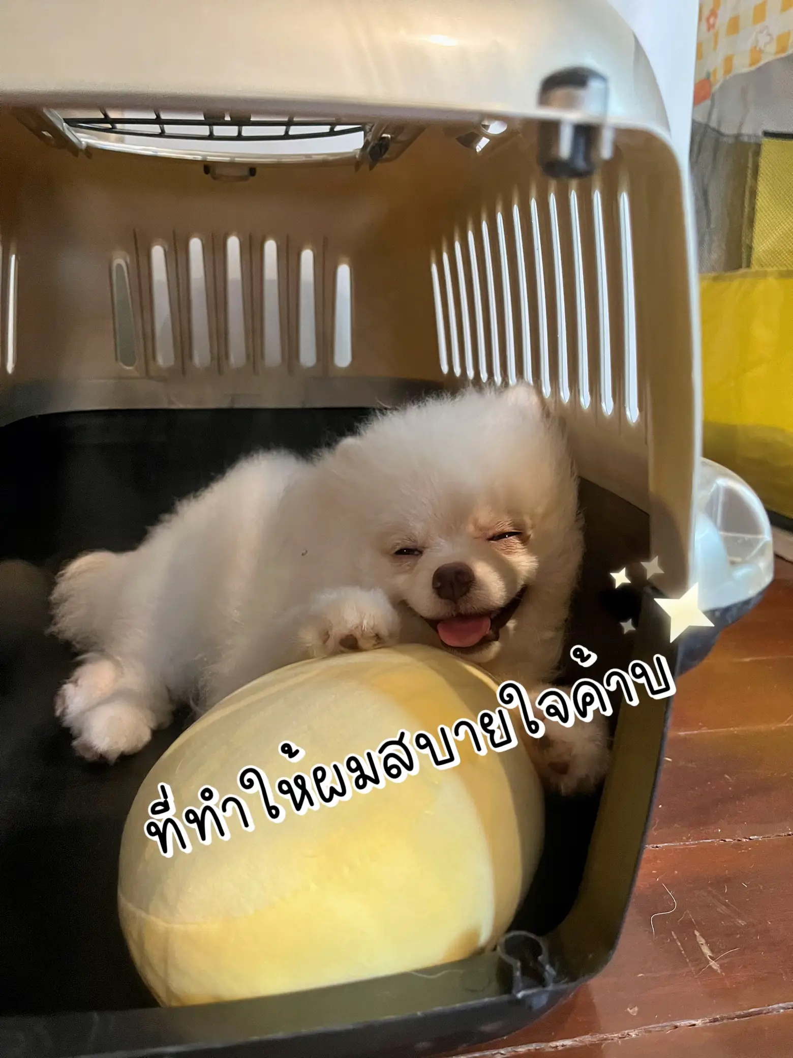 บ้านปอม เมื่อต้องอยู่คนเดียว | แกลเลอรีที่โพสต์โดย Moobin Cuddle | Lemon8