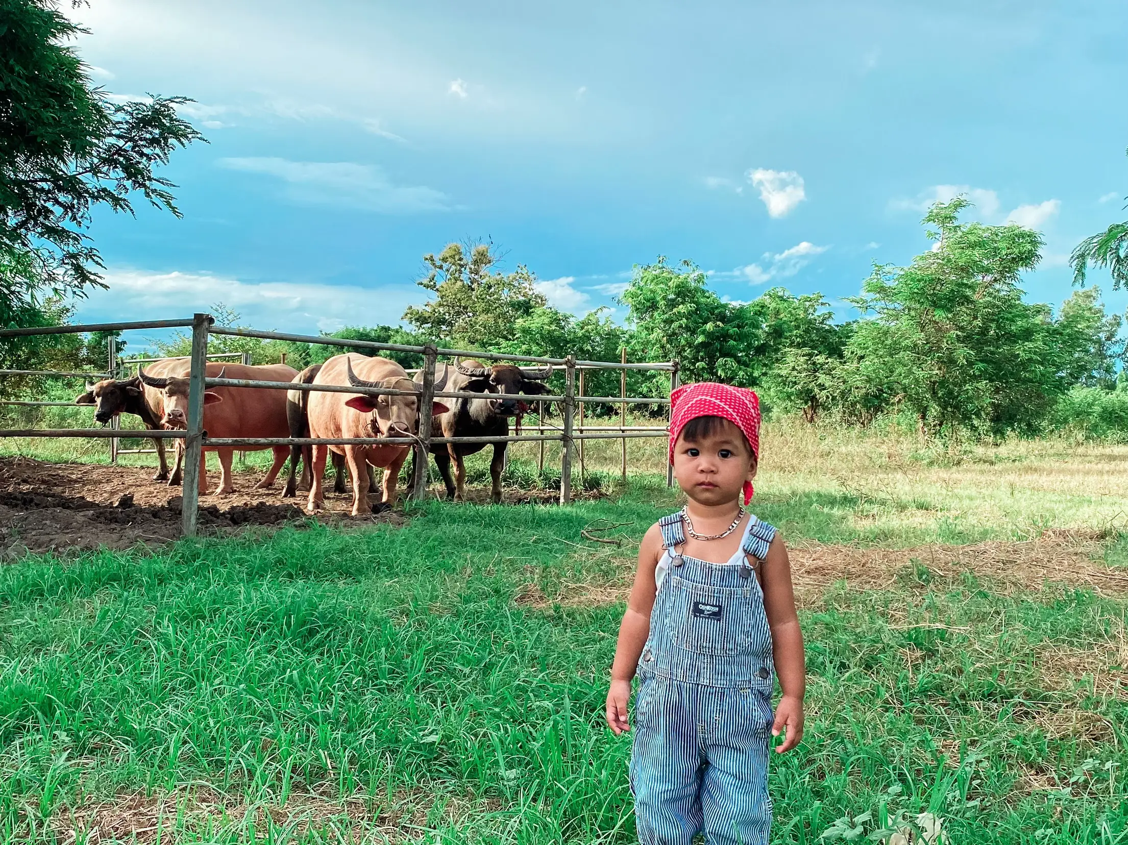 คาเฟ่แนะนำ | แกลเลอรีที่โพสต์โดย LANTA | Lemon8