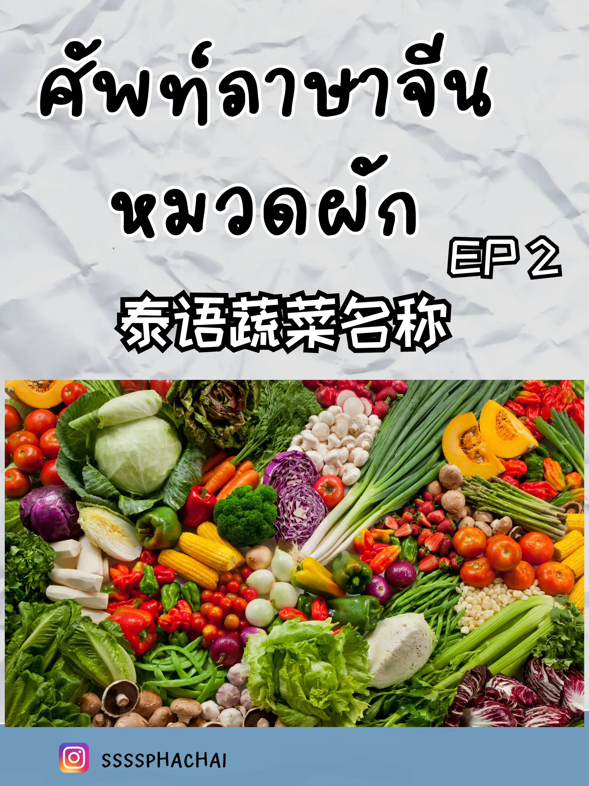 ภาษาจีน หมวดผัก EP 2 | แกลเลอรีที่โพสต์โดย Tee | Lemon8