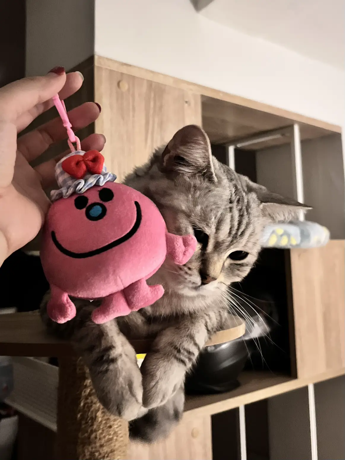 Gift idea Mr.men little miss Codec.creation | แกลเลอรีที่โพสต์โดย nicha ...