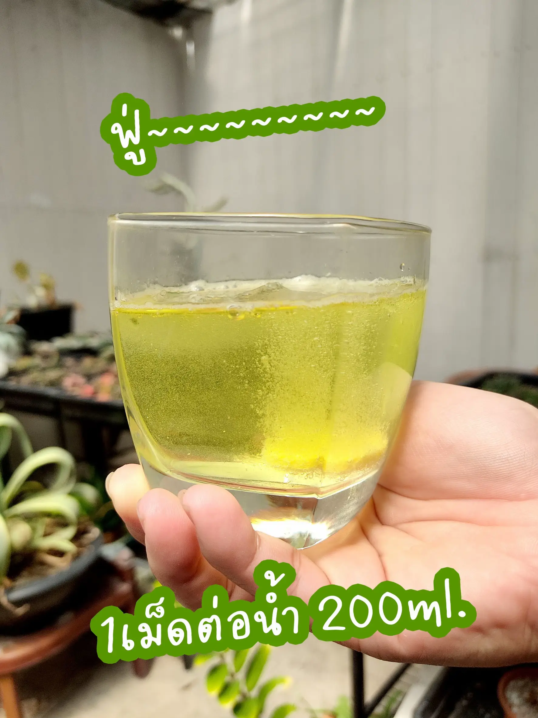 วิตามิน Biocap ดีไหม - การค้นหาใน Lemon8