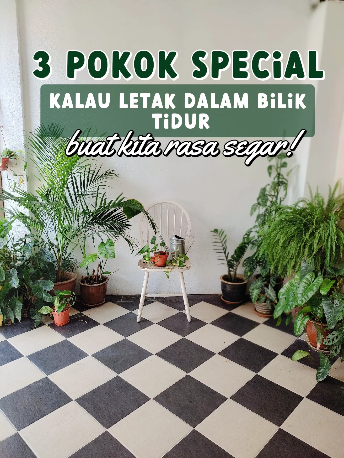 3 Pokok SANGAT SPECIAL Letak Dalam Bilik Tidur | Galeri disiarkan oleh Jellyna Jal🧸 | Lemon8