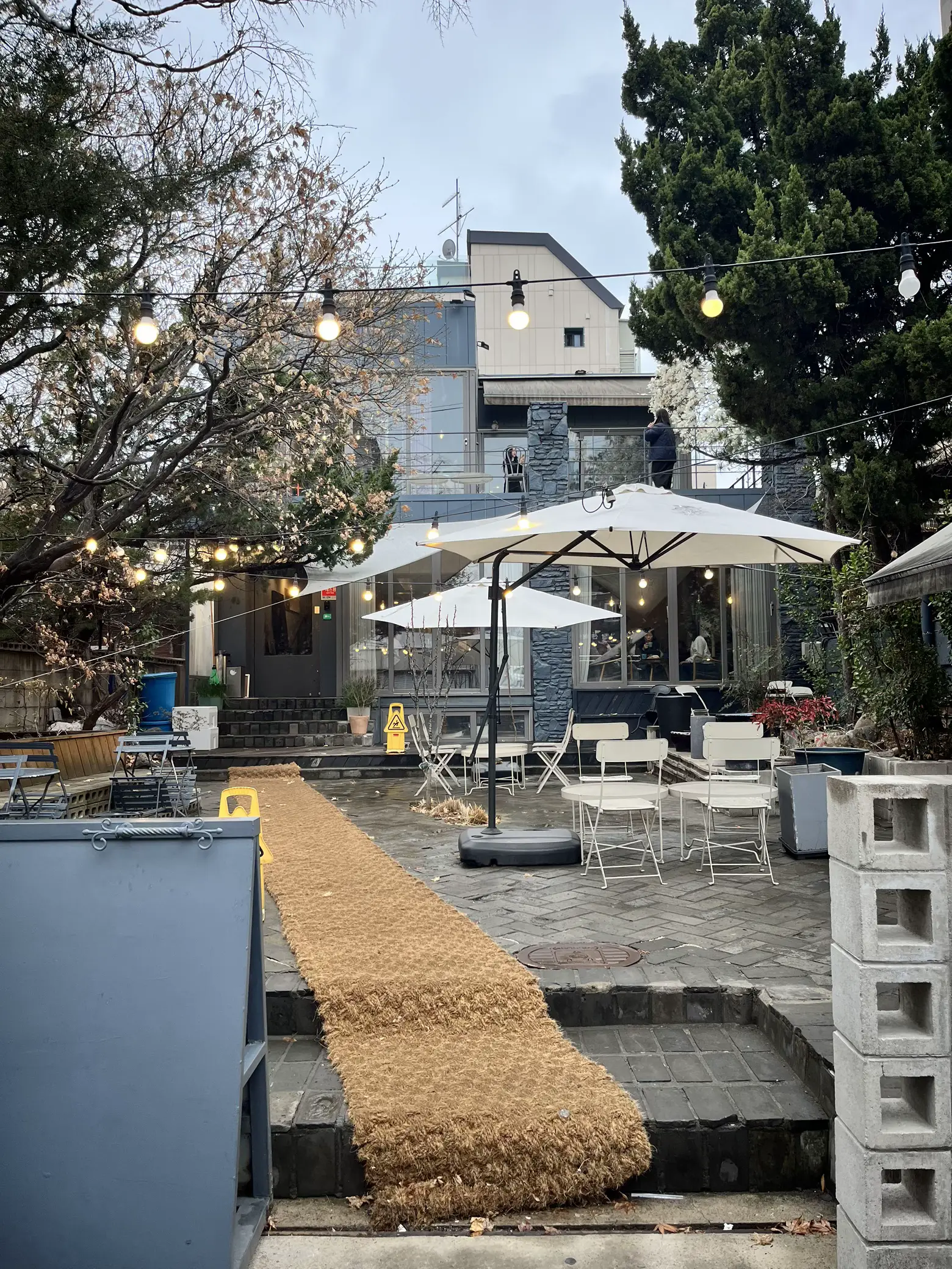 Cilantro Coffee คาเฟ่ดอกแมกโนเลียในโซล | แกลเลอรีที่โพสต์โดย Praewpat🍃 ...