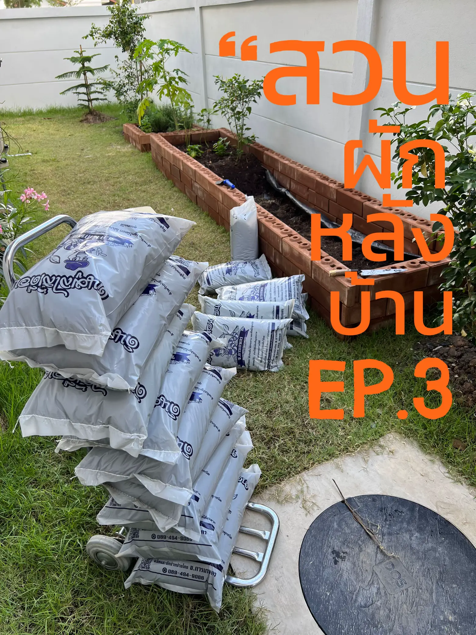 แปลงปลูกผัก สมบูรณ์100% EP.3 | แกลเลอรีที่โพสต์โดย TP Studio Home | Lemon8