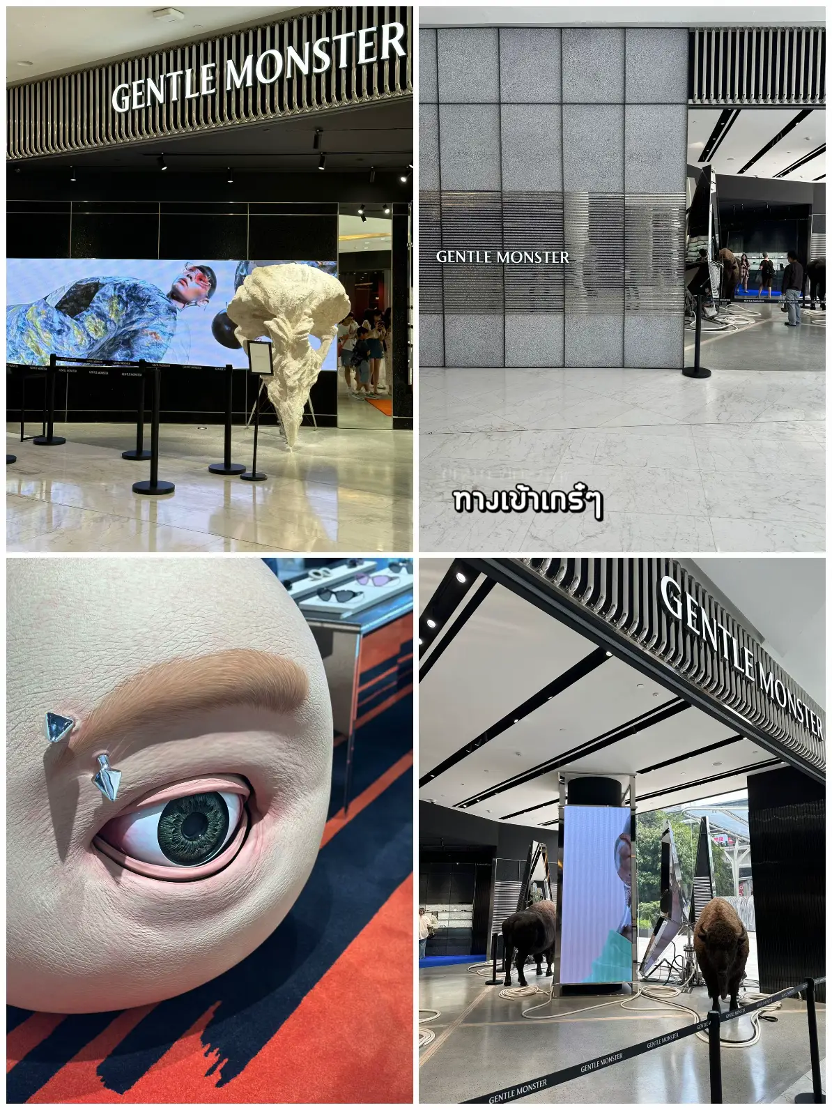 Gentle Monster มี shop ที่ไทยแล้วค่าสาวๆ | แกลเลอรีที่โพสต์โดย Aomsin ...