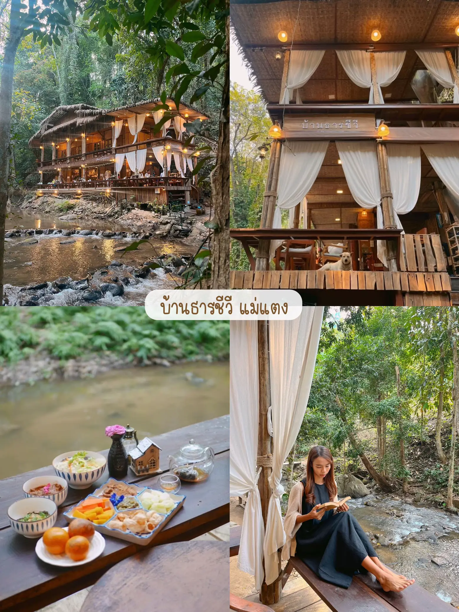 รวม 5 ที่พักเชียงใหม่บรรยากาศดี 🌿 หนาวนี้ต้องได้ไป | แกลเลอรีที่โพสต์โดย TripTamJai | Lemon8