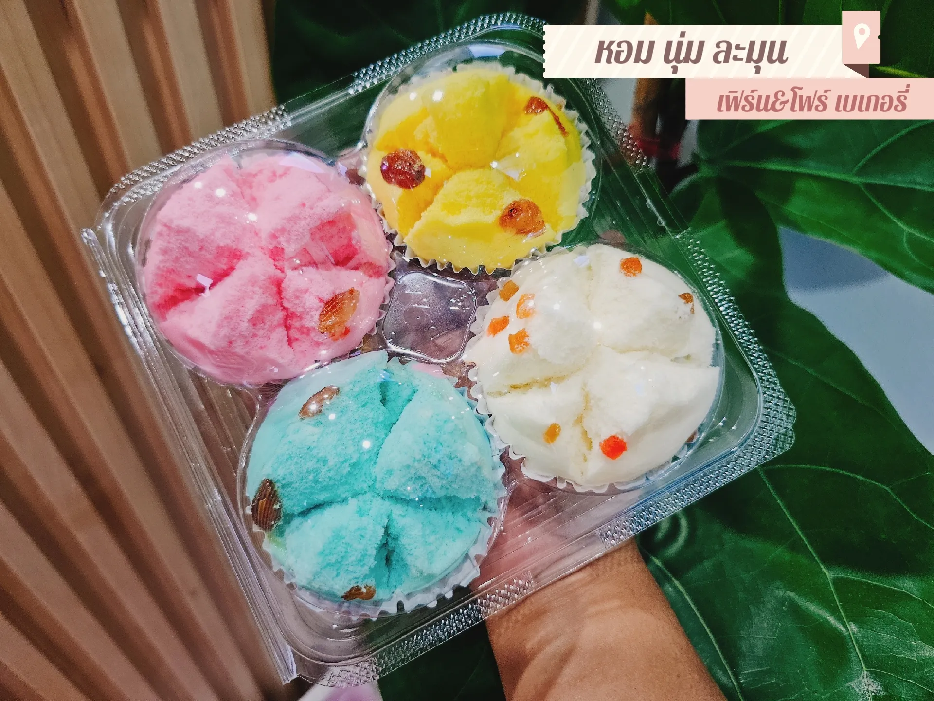 ปุยฝ้าย | แกลเลอรีที่โพสต์โดย Mayuree Boonlek | Lemon8