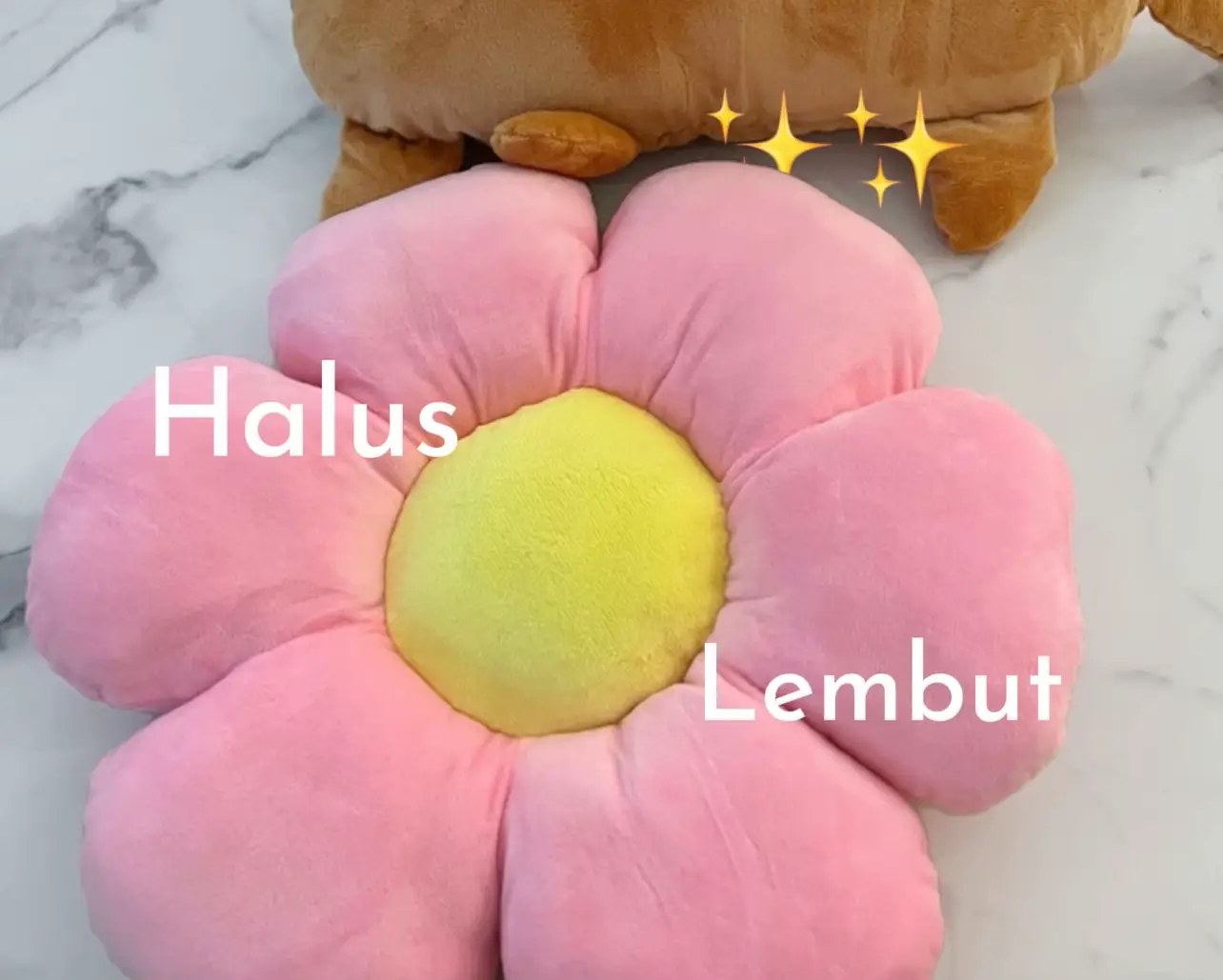 Bantal bunga 20 ribuan | Galeri diposting oleh Anitta° ⋆ | Lemon8
