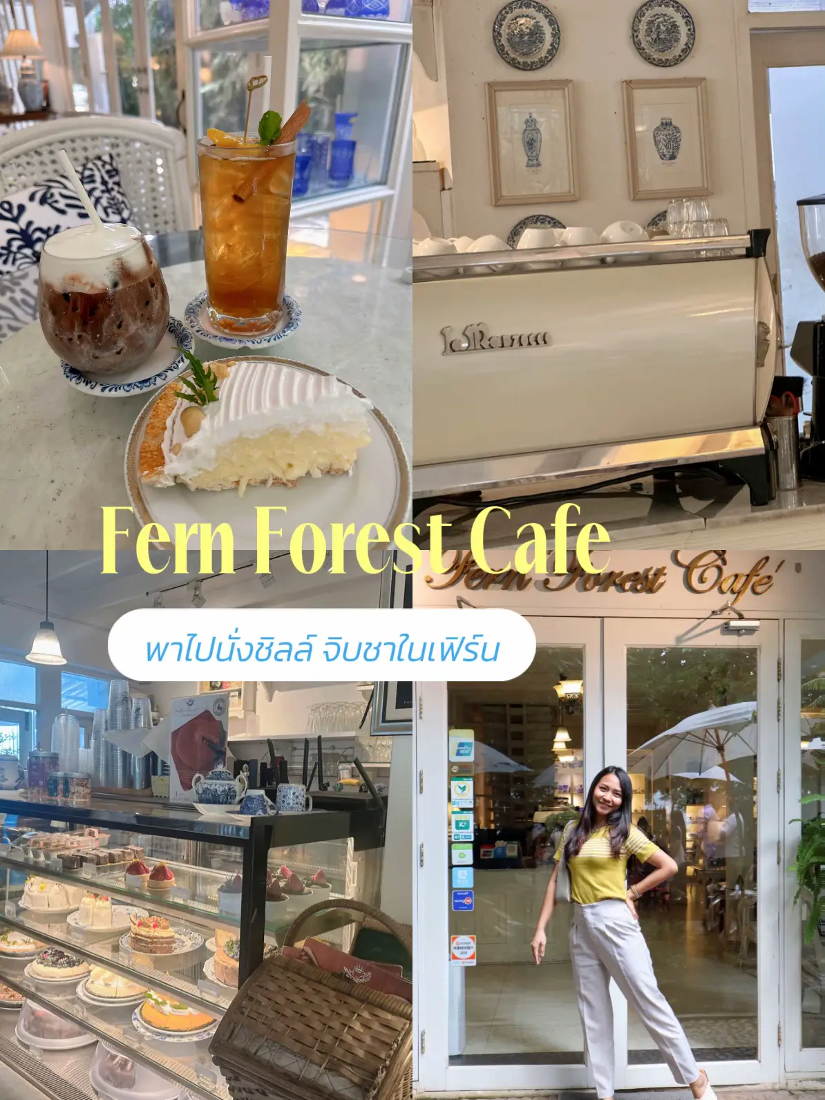 Fern Forest Cafe 🍰☕️ | แกลเลอรีที่โพสต์โดย May Duangnapa | Lemon8