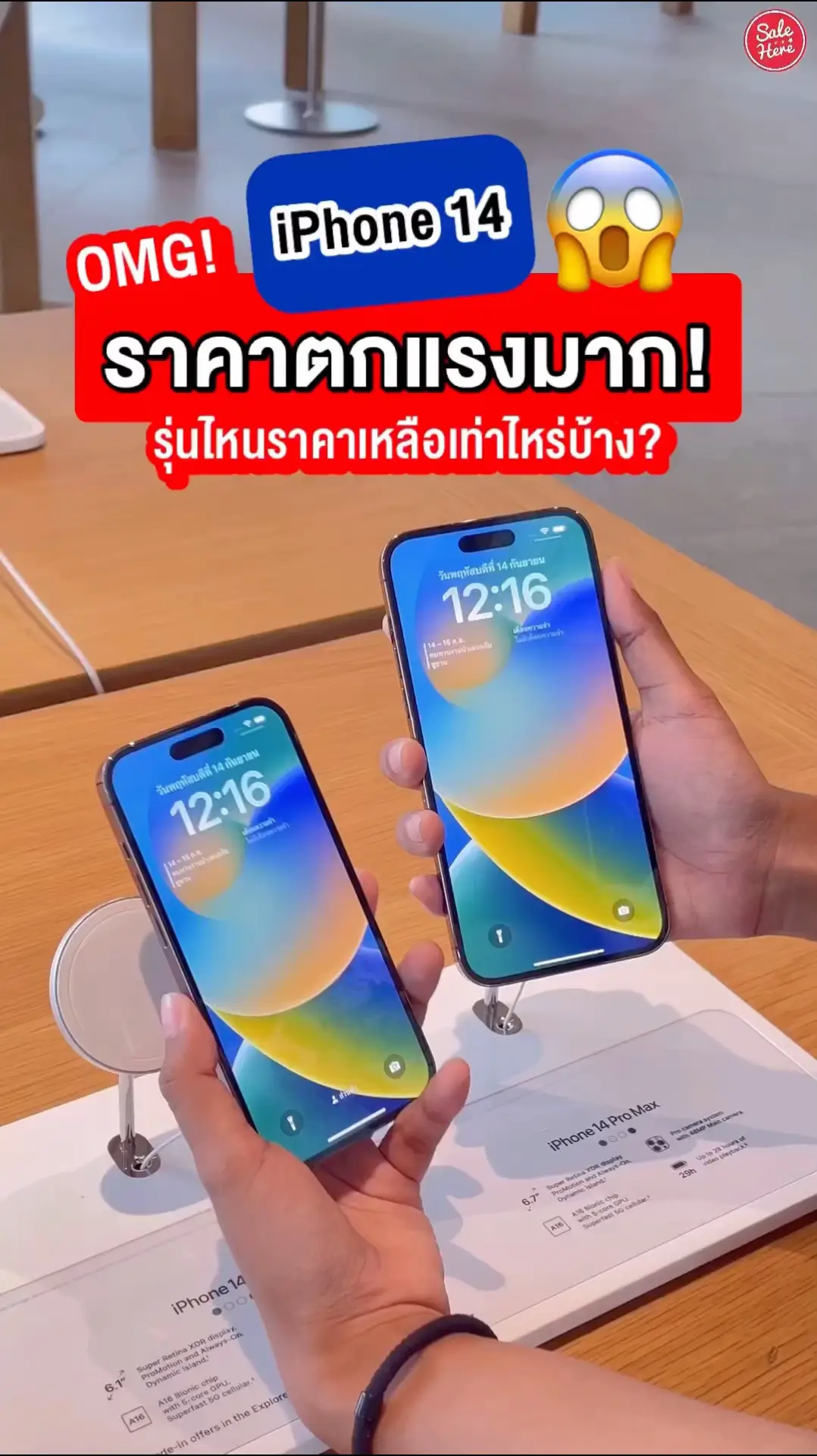 iPhone14 ราคาตกแรงมากกกก แต่ละรุ่นเหลือเท่าไหร่ไปดูกันเลย🤩 | วิดีโอที่เผยแพร่โดย Sale Here | Lemon8