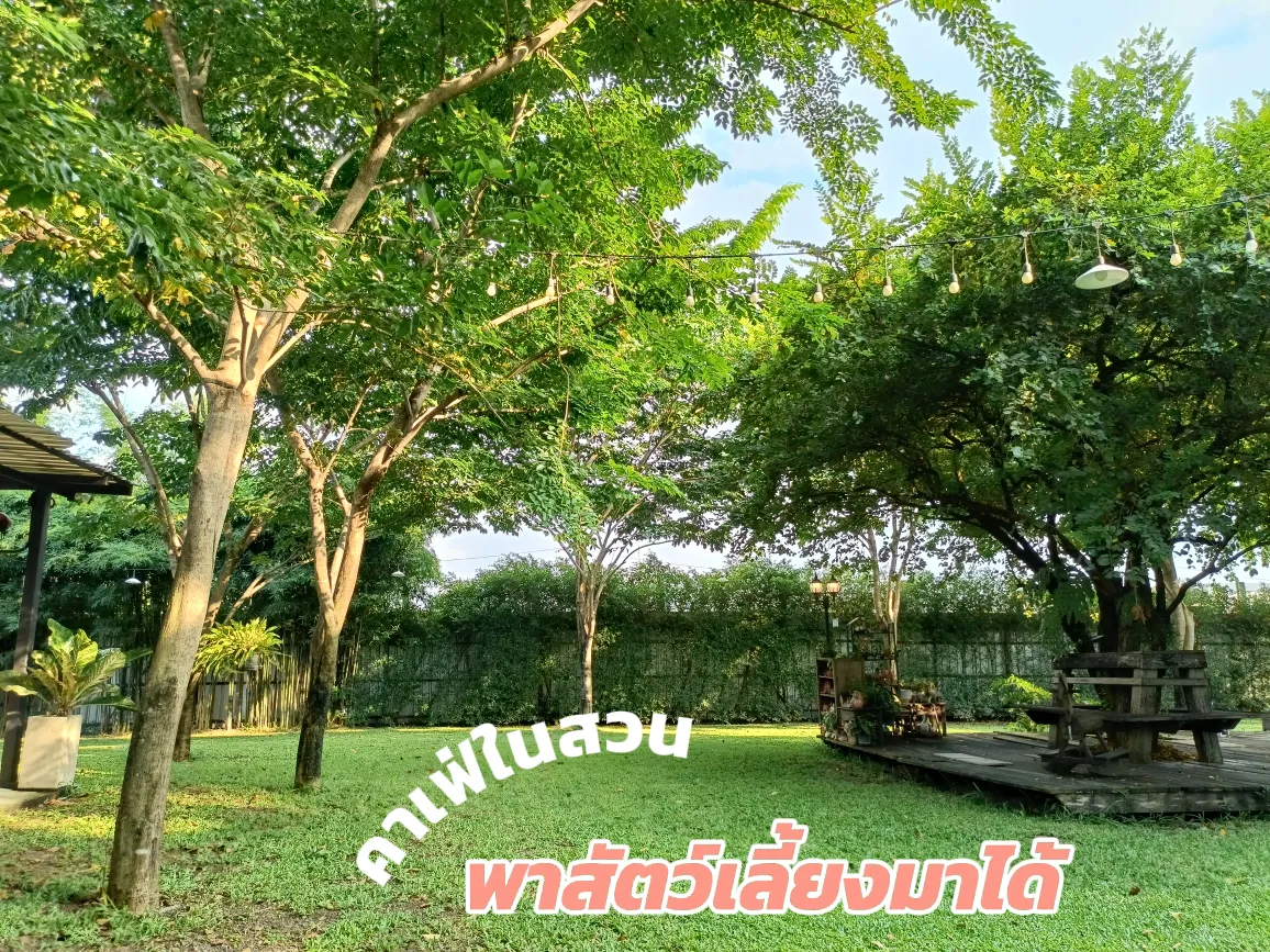 One cc Cafe &Craftbeer | แกลเลอรีที่โพสต์โดย One cc | Lemon8