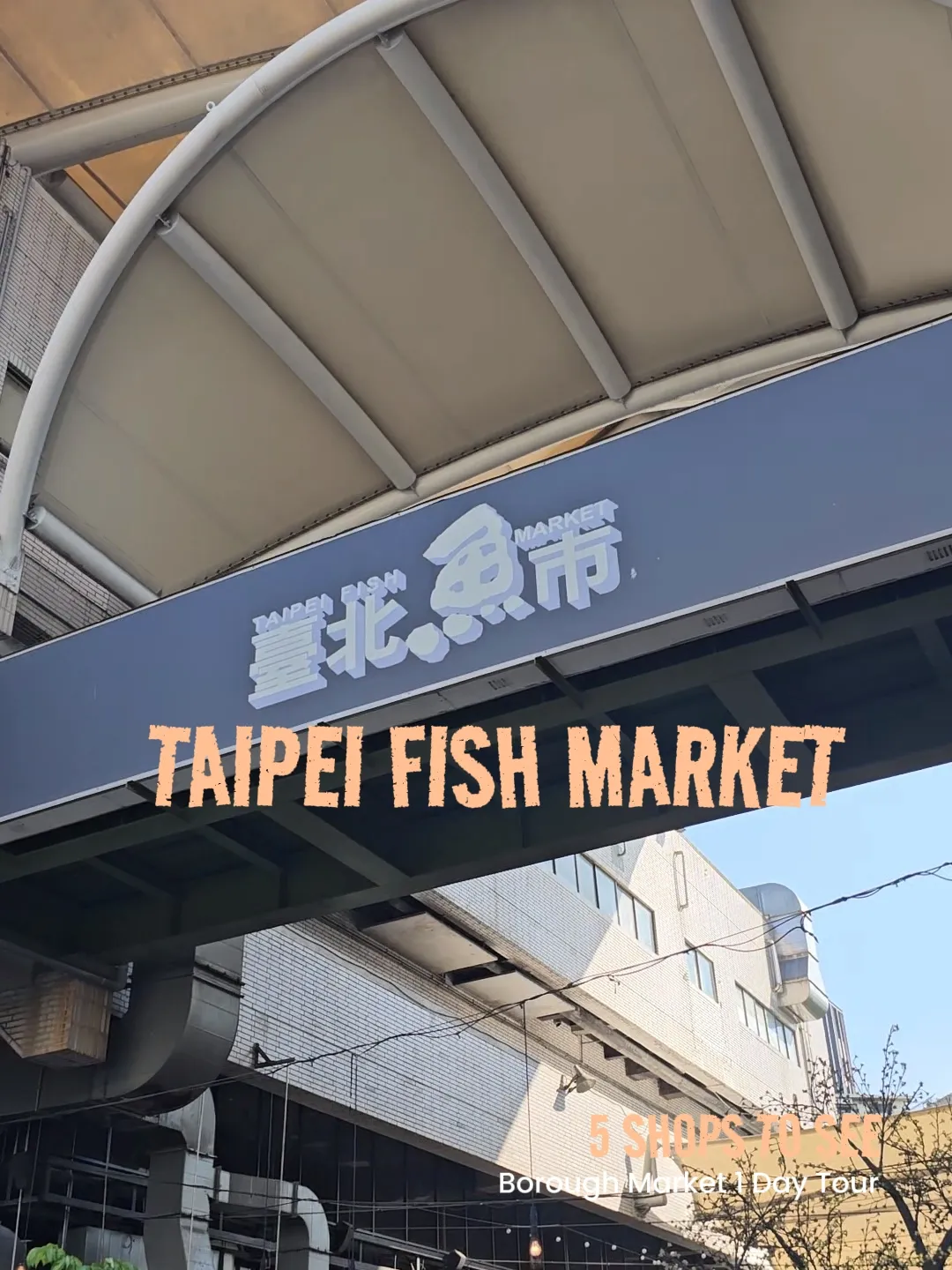 TAIPEI FISH MARKET | แกลเลอรีที่โพสต์โดย Klangnueng | Lemon8