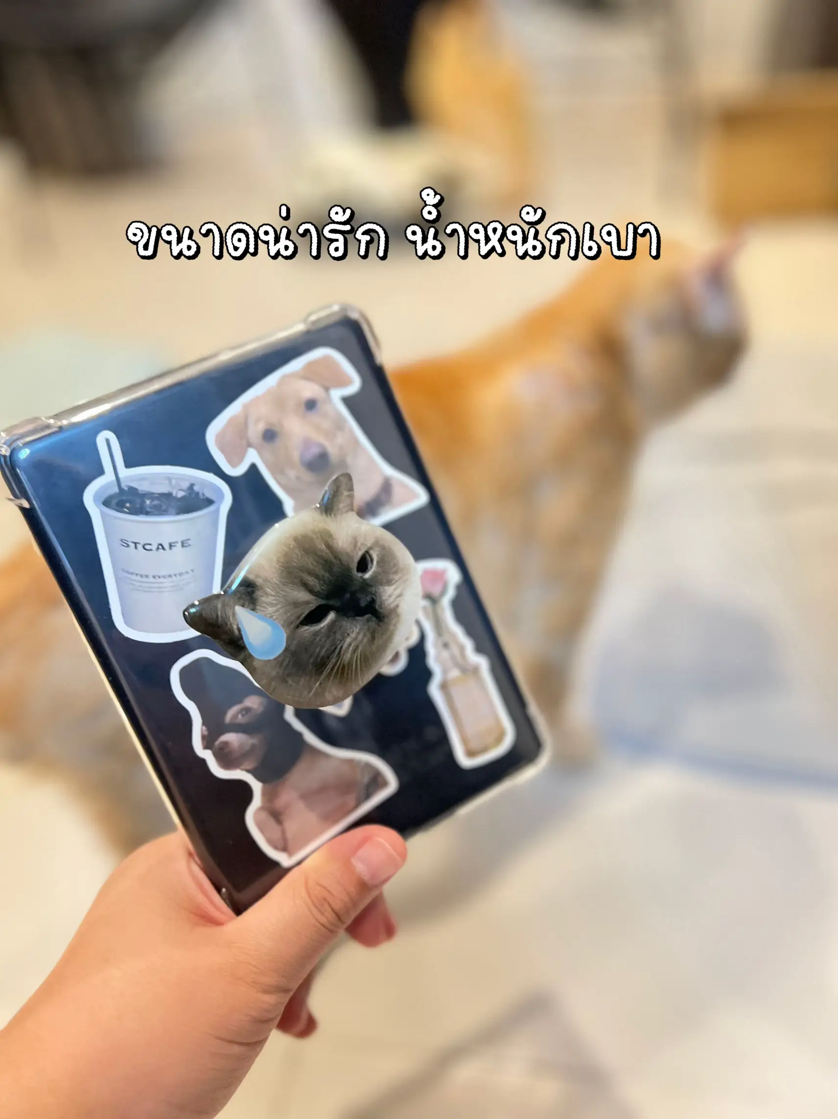 ป้ายยา : E-READER เครื่องอ่านหนังสือพกพา | แกลเลอรีที่โพสต์โดย All ...