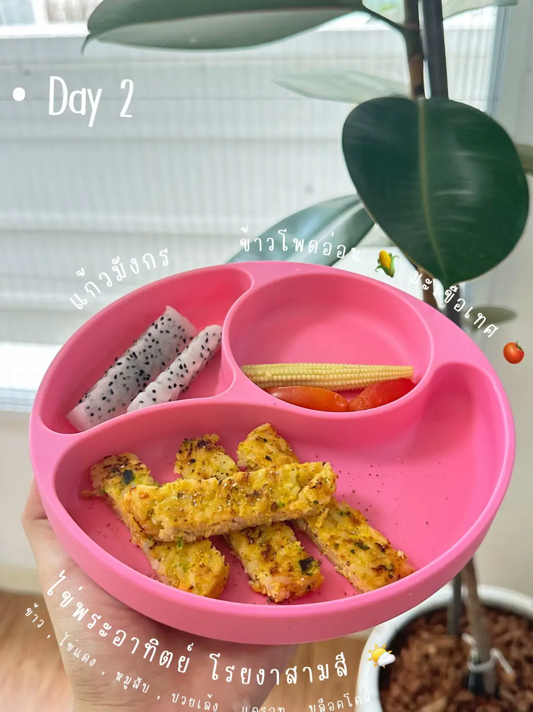 เมนูอาหาร BLW ( 6+ M) 🍋 | แกลเลอรีที่โพสต์โดย เมนูอาหารลูก | Lemon8