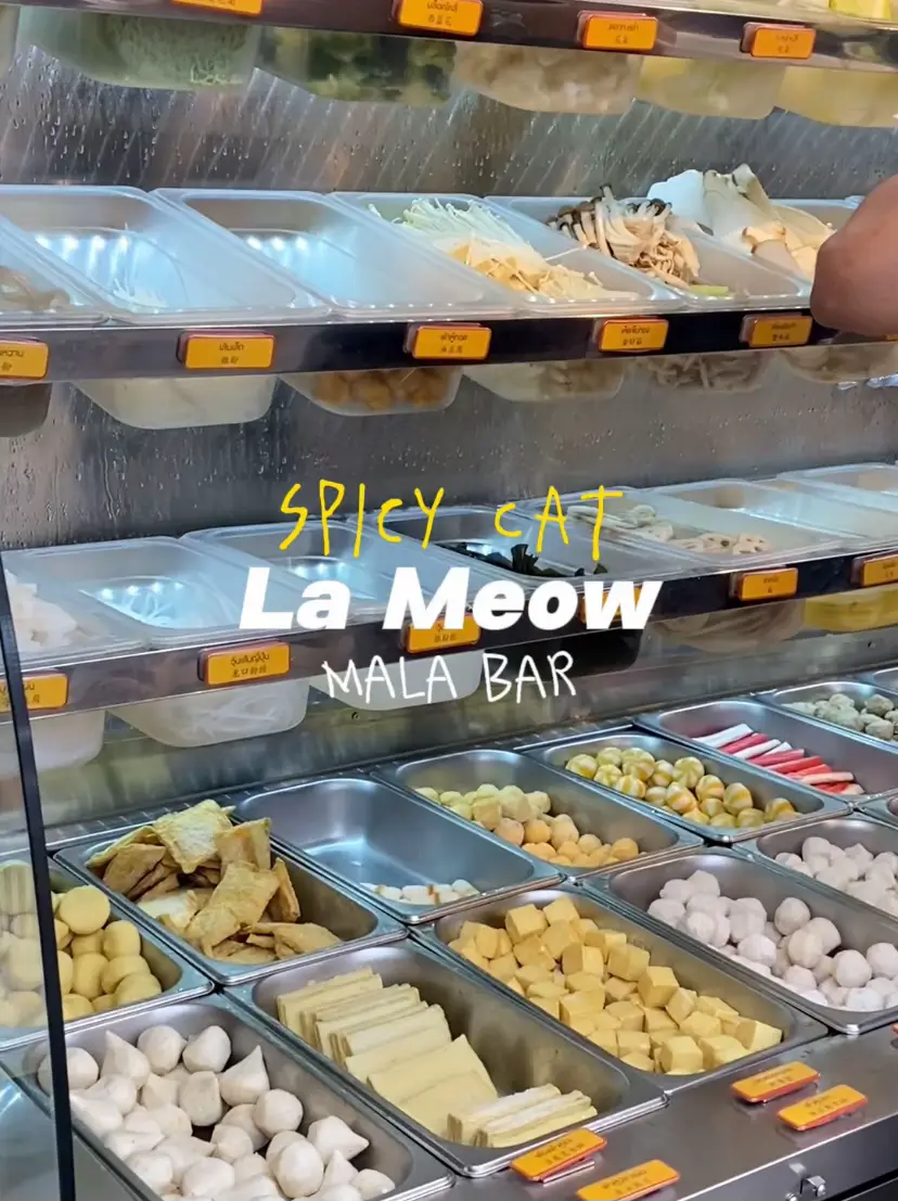 Spicy cat La Meow อิสหมาล่าตักเอง แบบไม่เขิน😽 | แกลเลอรีที่โพสต์โดย พอยณ | Lemon8