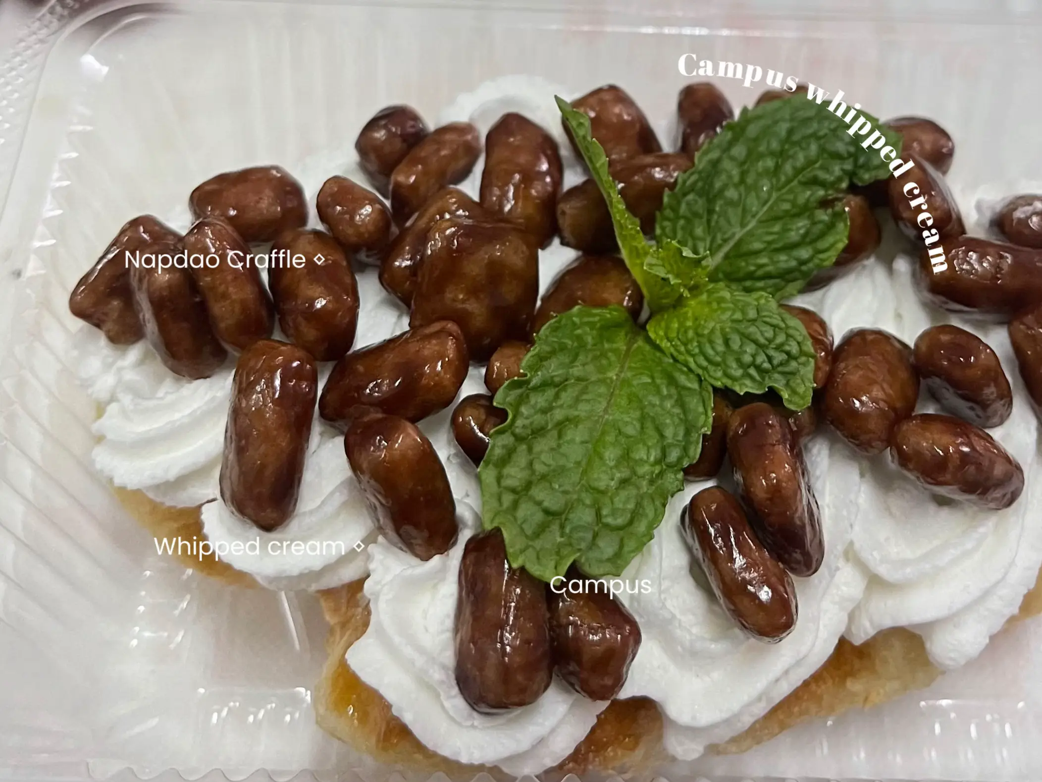 Campus whipped cream Craffle | แกลเลอรีที่โพสต์โดย Napdao | Lemon8