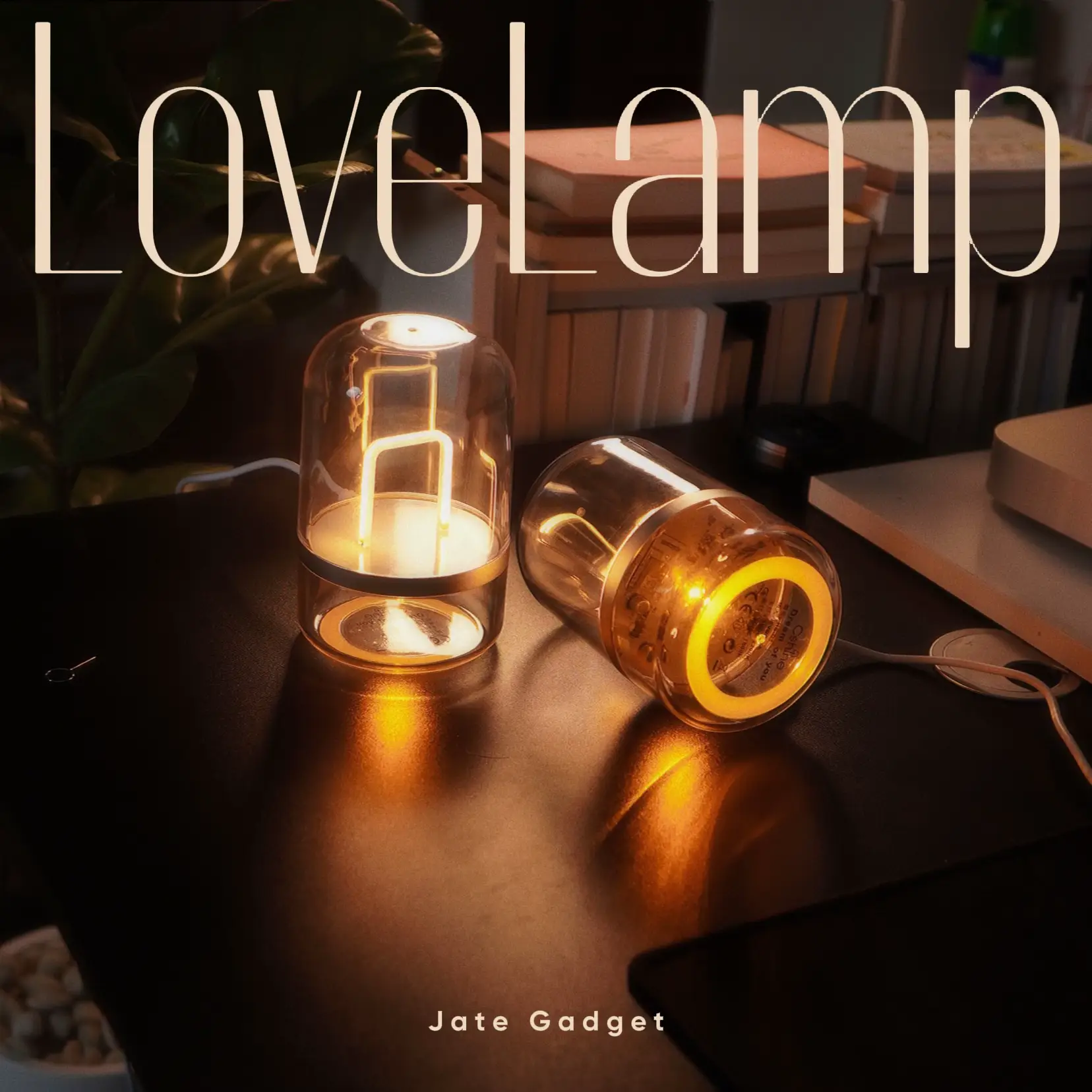 โคมไฟสำหรับคนมีรักทางไกล | แกลเลอรีที่โพสต์โดย DK Land Home | Lemon8