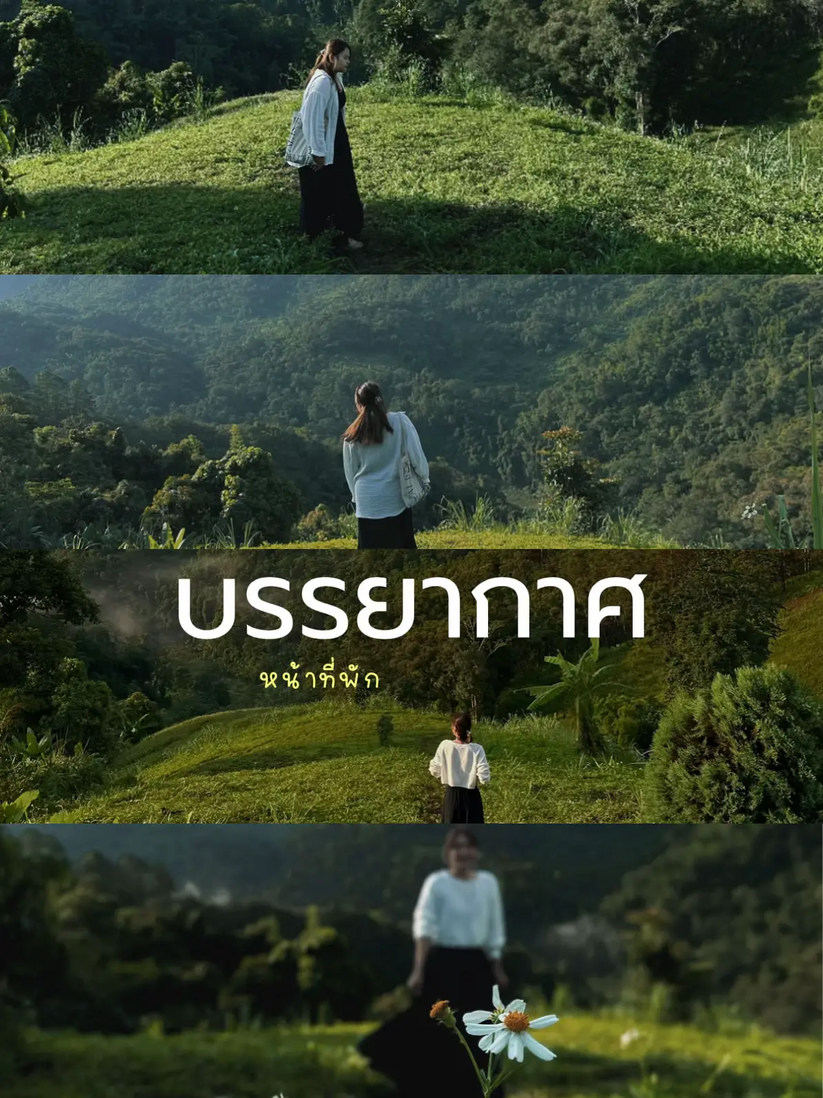 บ้านลีซูโฮมสเตย์ เชียงดาว | แกลเลอรีที่โพสต์โดย Plathong_ch | Lemon8