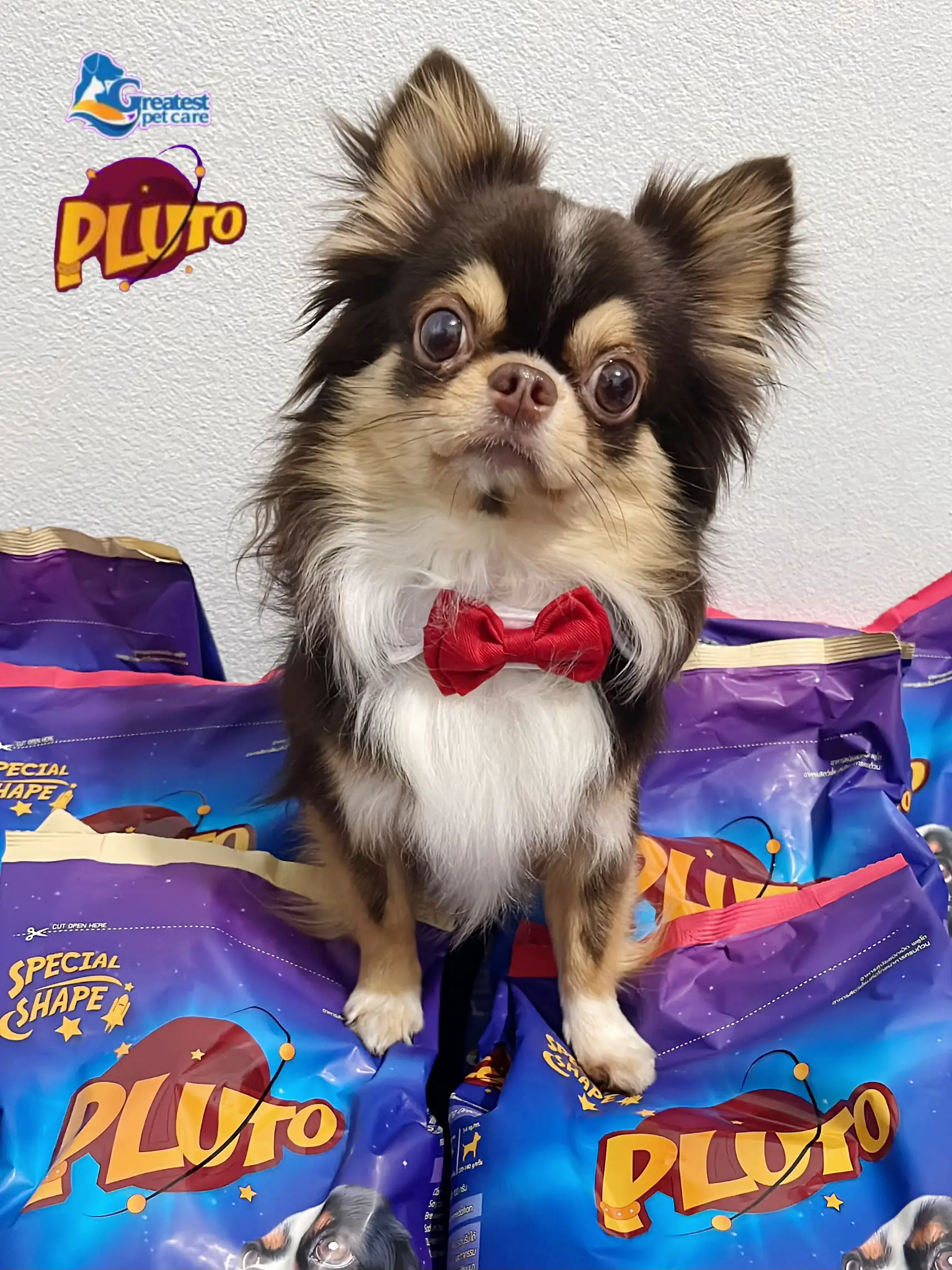 Pluto อาหารสุนัข | แกลเลอรีที่โพสต์โดย Machiko Chihome | Lemon8