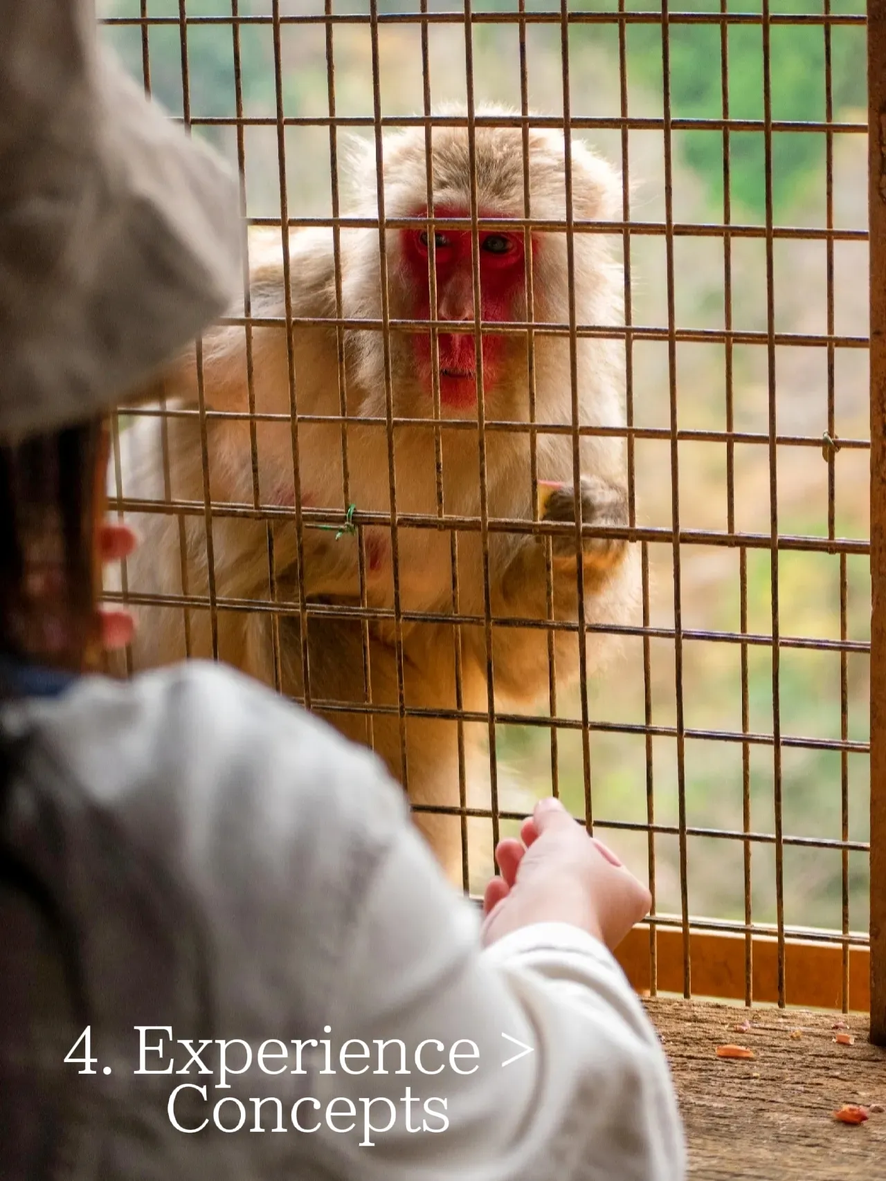 tracking photography progress - Lemon8 Search