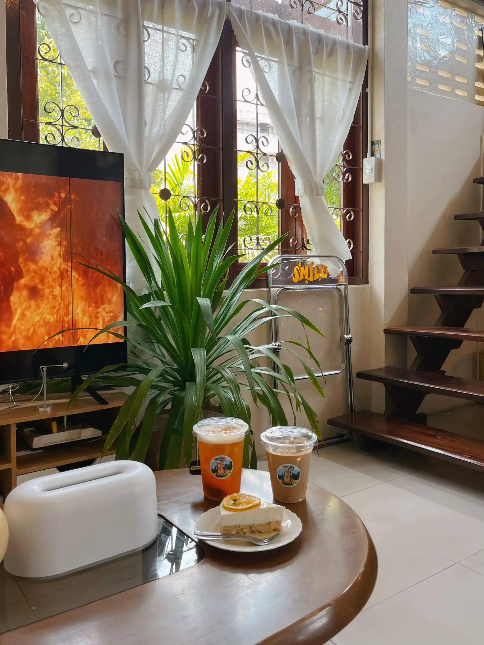 🐶 𝙢𝙤𝙜𝙖 𝙘𝙤𝙛𝙛𝙚𝙚 คาเฟ่โฮมมี่ราชบุรี เมอรี่น่ารักมาก | แกลเลอรีที่โพสต์โดย TripTamJai | Lemon8