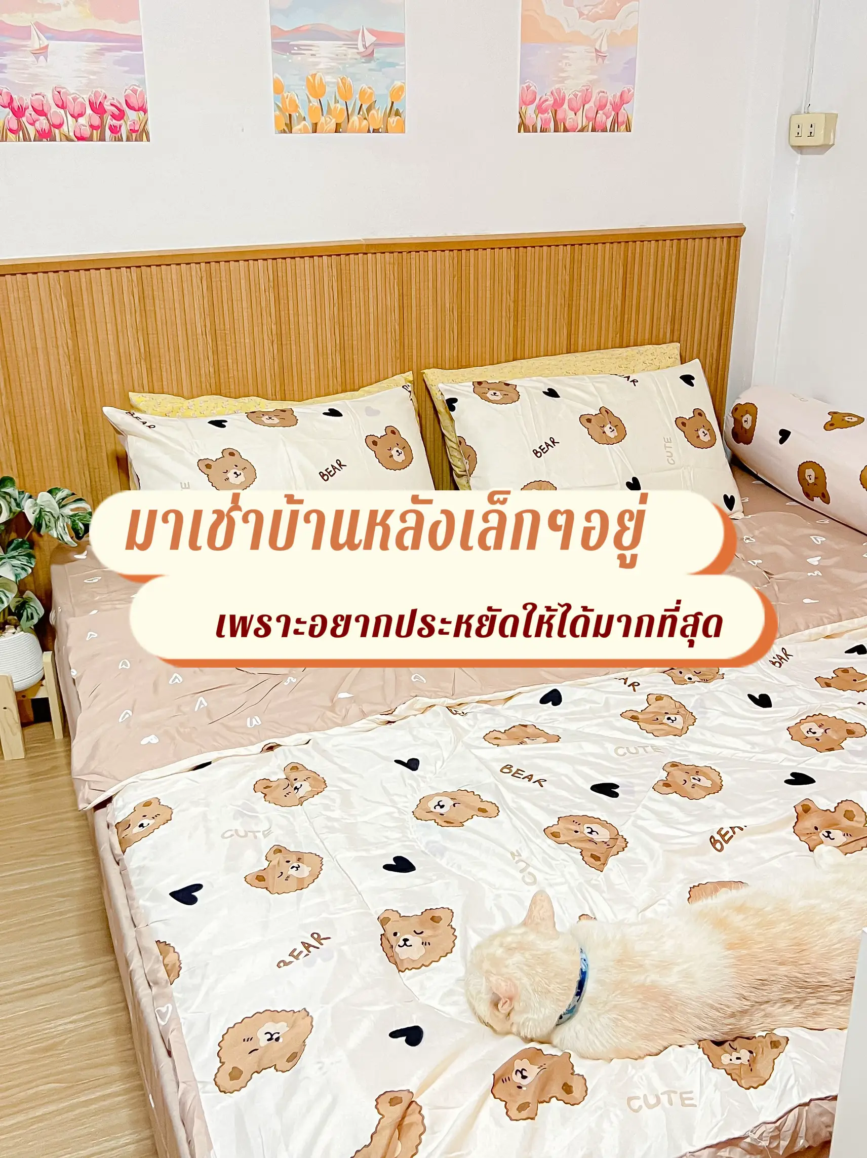 หนี้ท่วมหัว เอาตัวเกือบไม่รอด | แกลเลอรีที่โพสต์โดย Pao Pae | Lemon8