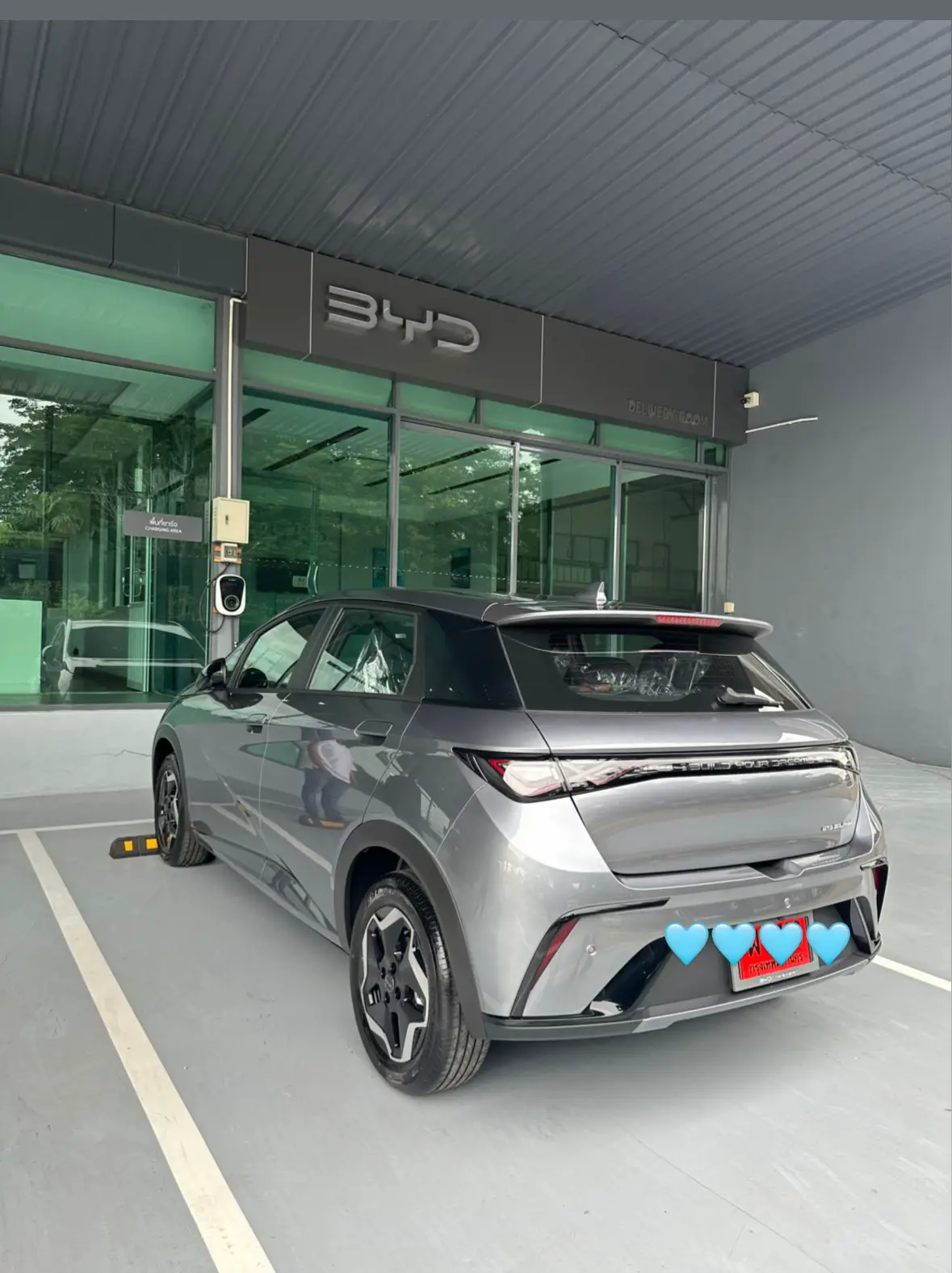 Review byd dolphin - การค้นหาใน Lemon8