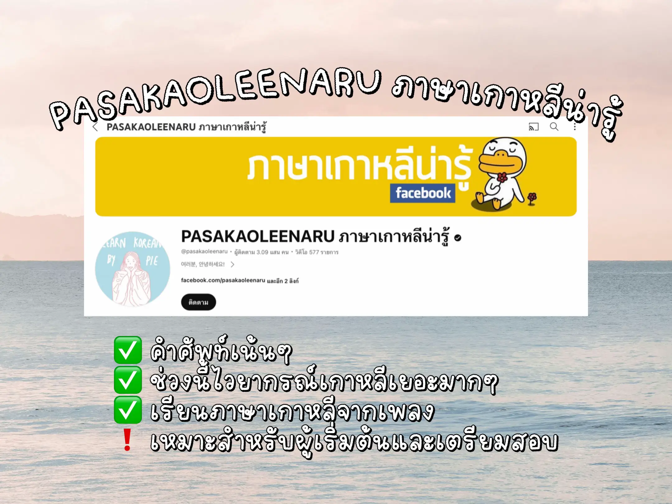 ช่องยูทูปฝึกภาษาเกาหลี ️🍋💐 | แกลเลอรีที่โพสต์โดย phet | Lemon8