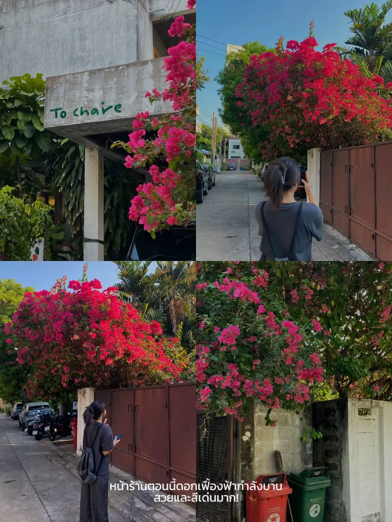 To chare คาเฟ่ที่เหมือนอยู่บ้านเพื่อน 🏠🌳 | แกลเลอรีที่โพสต์โดย 2kging ...