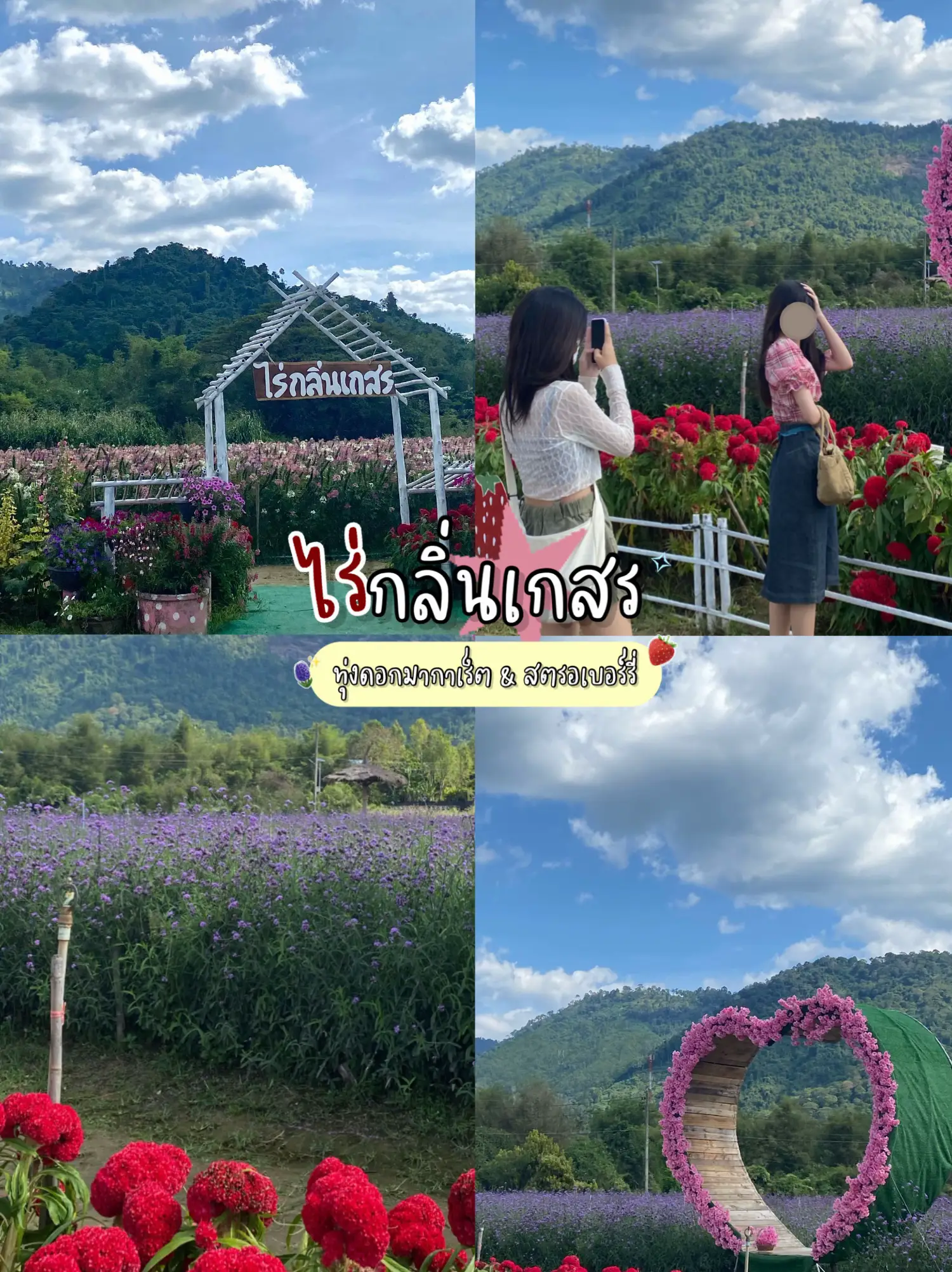 นครนายก 2วัน1คืนมีอะไรให้ทำ? | แกลเลอรีที่โพสต์โดย Bell | Lemon8