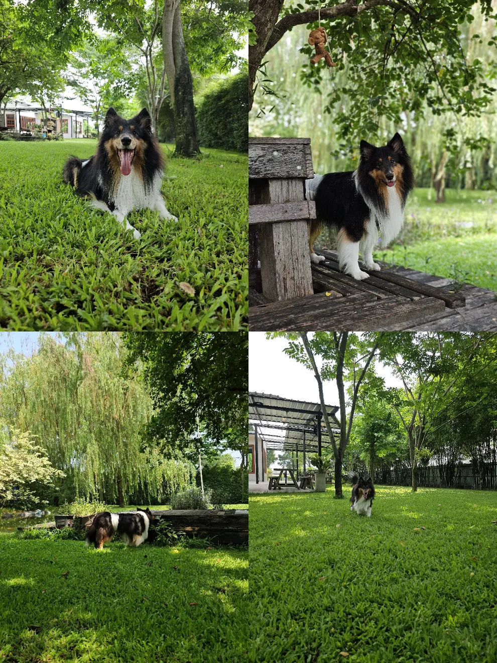 ONE CC. Cafe&Craft beer 🍻 | แกลเลอรีที่โพสต์โดย aster.corgi | Lemon8