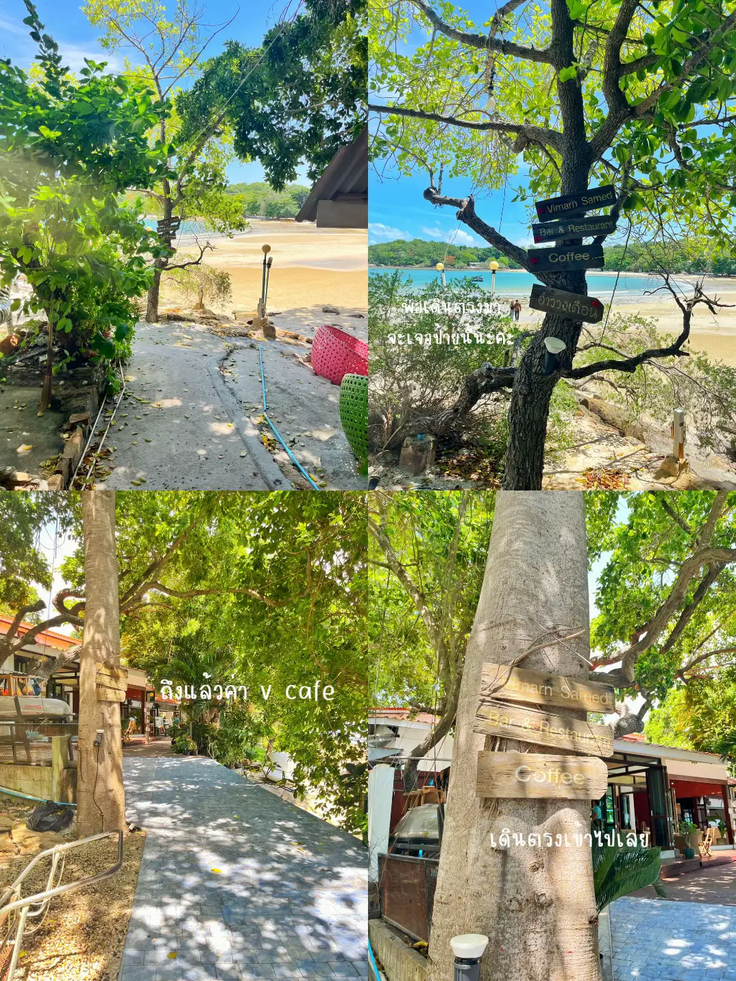 V cafe ถ่ายรูปไม่ซ้ำใคร ที่คาเฟ่เกาะเสม็ด (มุมถ่ายรูปเยอะมาก) | แกลเลอ ...