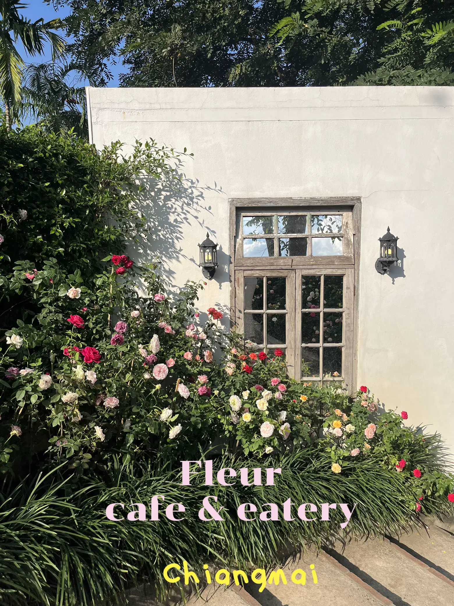 Fleur cafe & eatery เชียงใหม่ | แกลเลอรีที่โพสต์โดย Pookpui Pimlapa | Lemon8