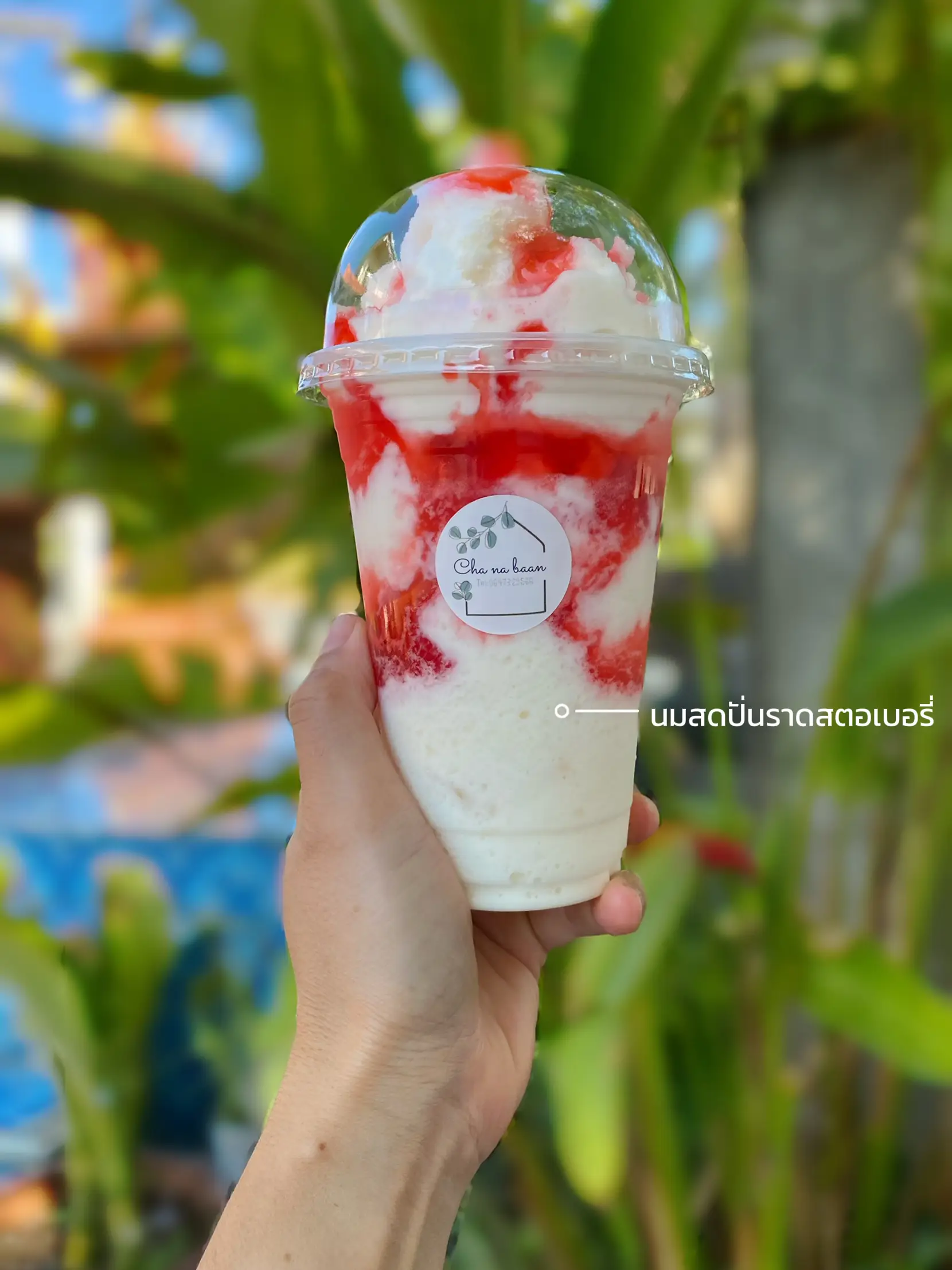 ชาเขียวมะพร้าวนมสดปั่น | แกลเลอรีที่โพสต์โดย Chanthima Kongb | Lemon8