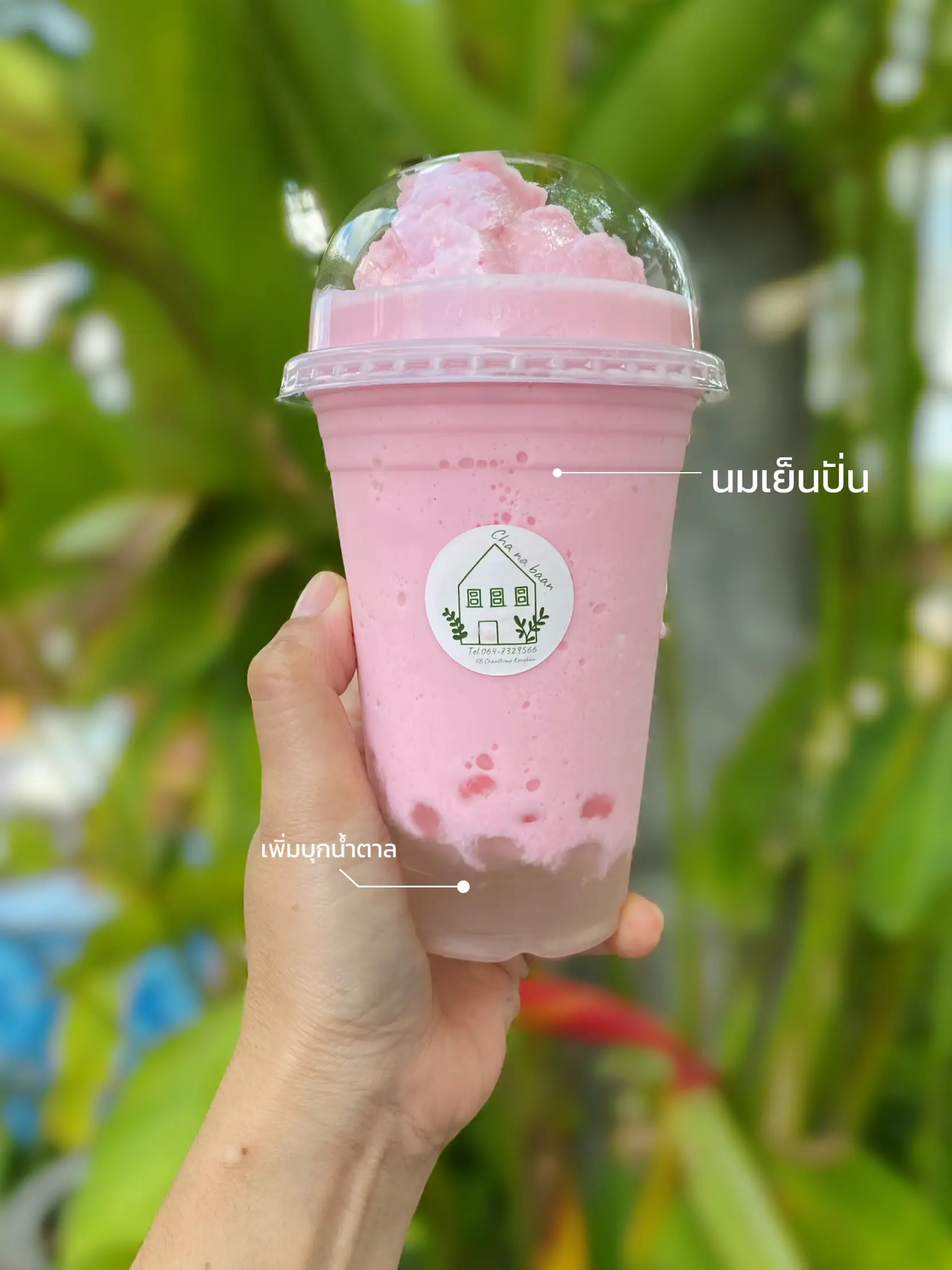 ชาเขียวมะพร้าวนมสดปั่น | แกลเลอรีที่โพสต์โดย Chanthima Kongb | Lemon8