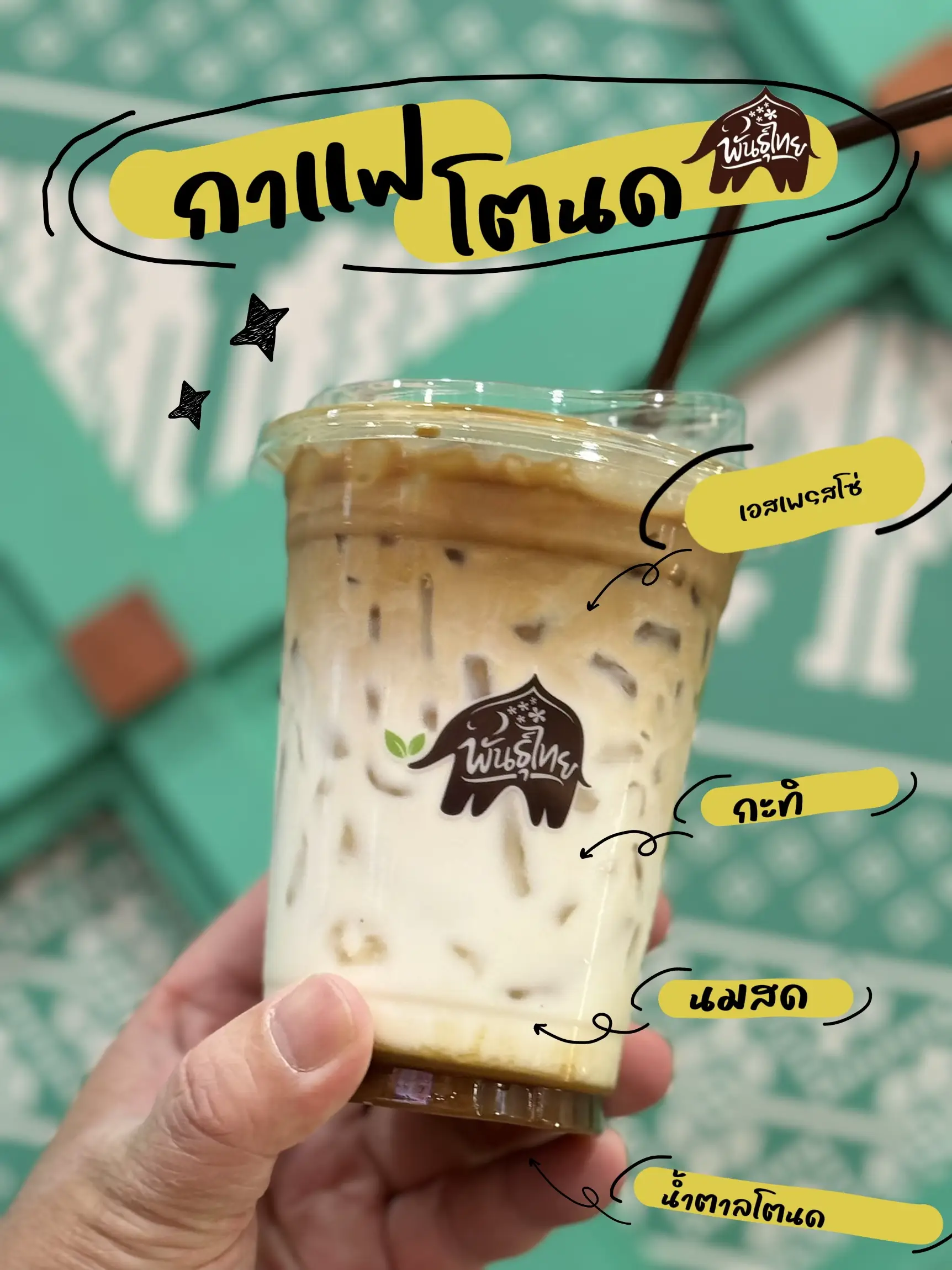 รีวิว : เมนูสุดฮิต ติดกระแส กาแฟพันธุ์ไทย 🐘 | แกลเลอรีที่โพสต์โดย Thapanee Sin🌵 | Lemon8