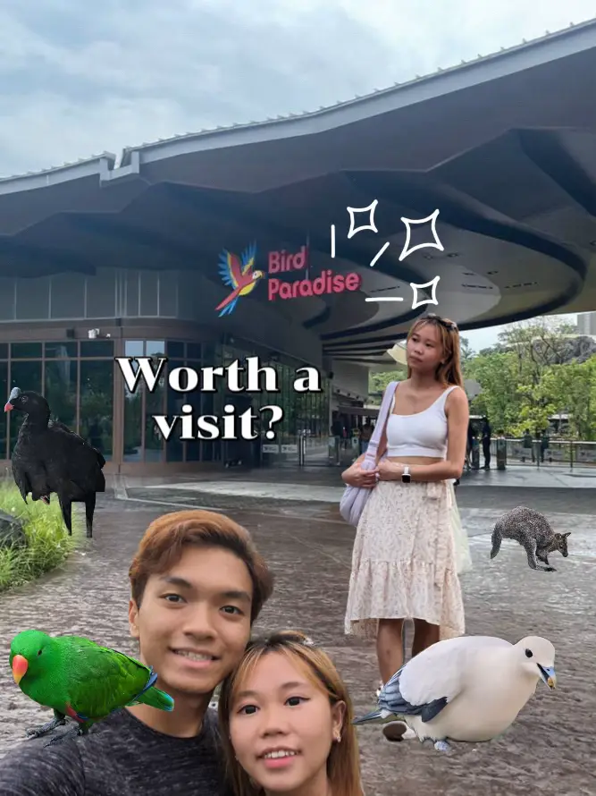 Bird Paradise 🦜🦩🦚🕊️🦢 | Gallery posted by Perlyn Estelia | Lemon8