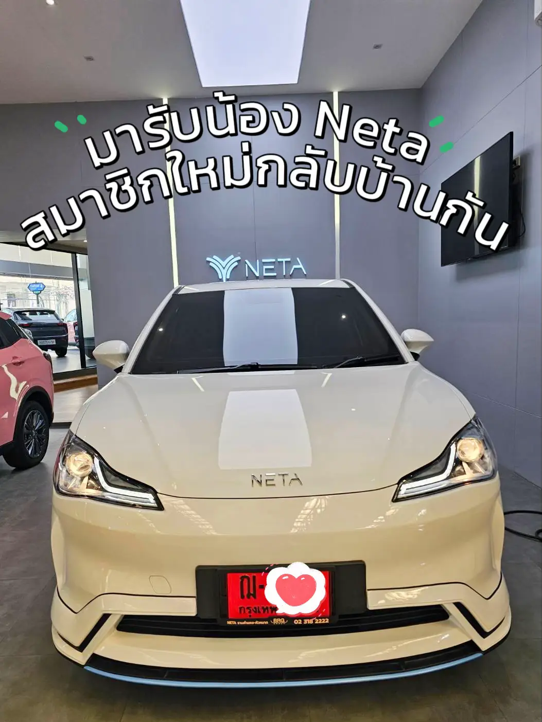 มารับน้อง Neta สมาชิกใหม่กลับบ้านกัน | แกลเลอรีที่โพสต์โดย แนนในวัย 25 ...