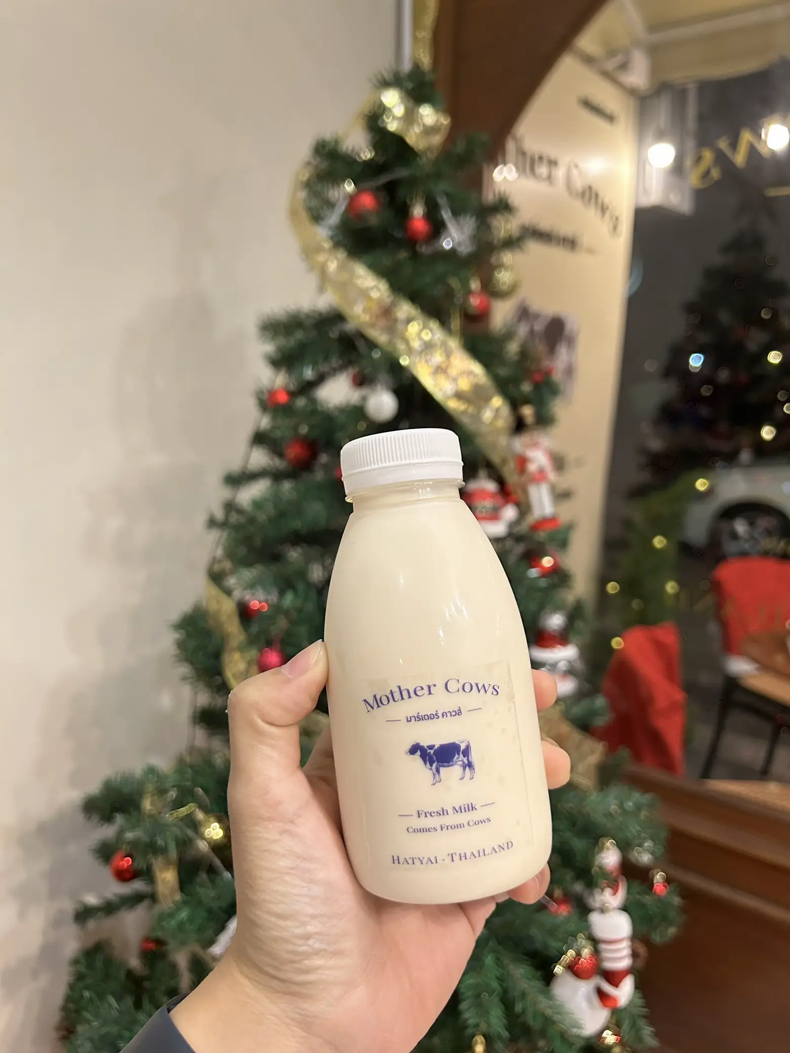 รีวิวร้าน Mother Cows สาขาเมืองทองธานี | แกลเลอรีที่โพสต์โดย Let’s go ...