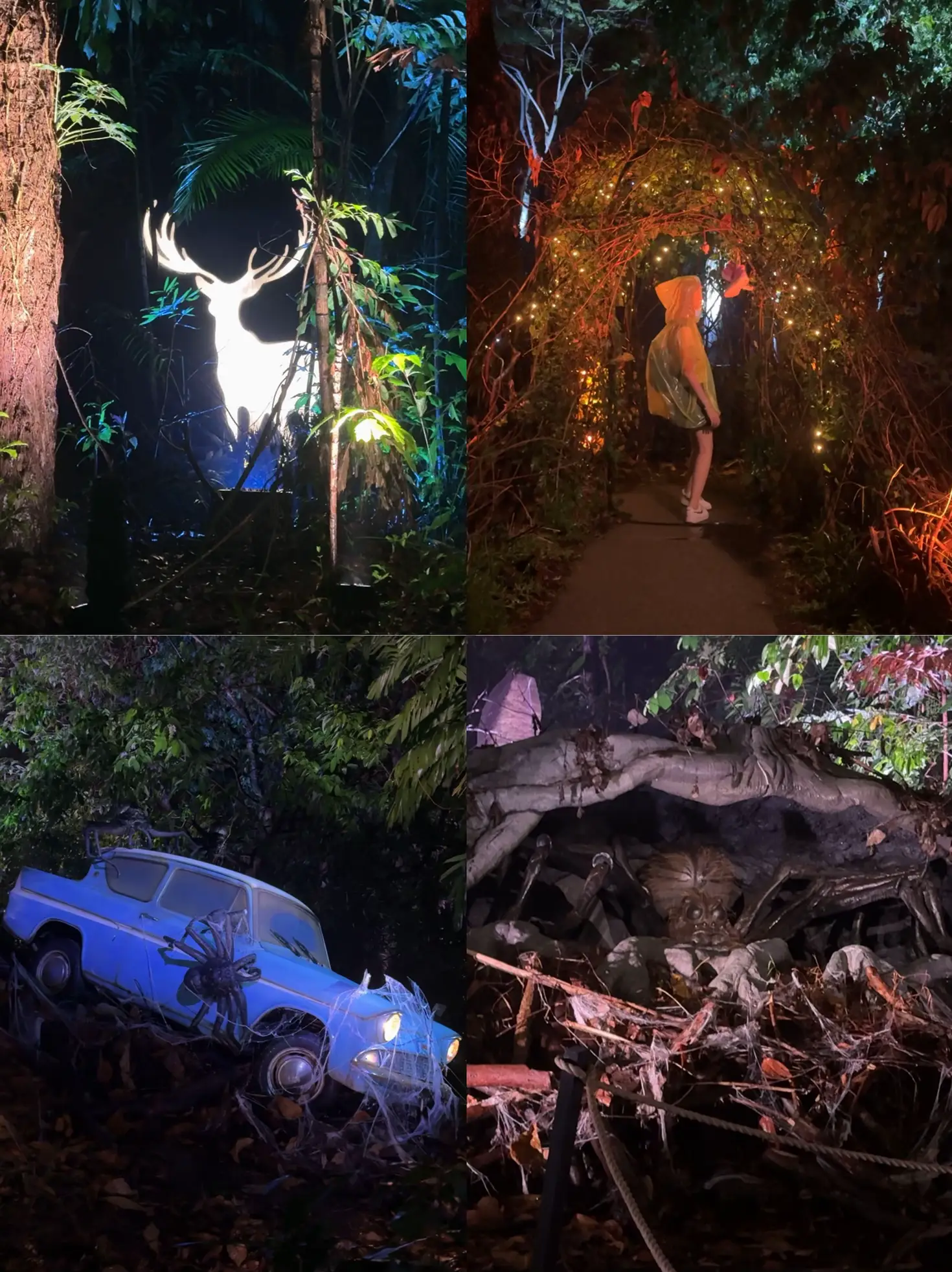 รีวิวงาน Harry Potter: A Forbidden Forest Experience | แกลเลอรีที่โพสต์ ...