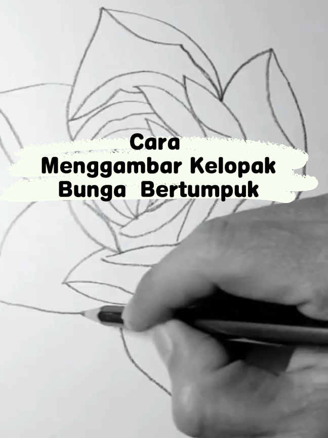 Cara Menggambar Kelopak Bunga Bertumpuk | Video dipublikasikan oleh ...