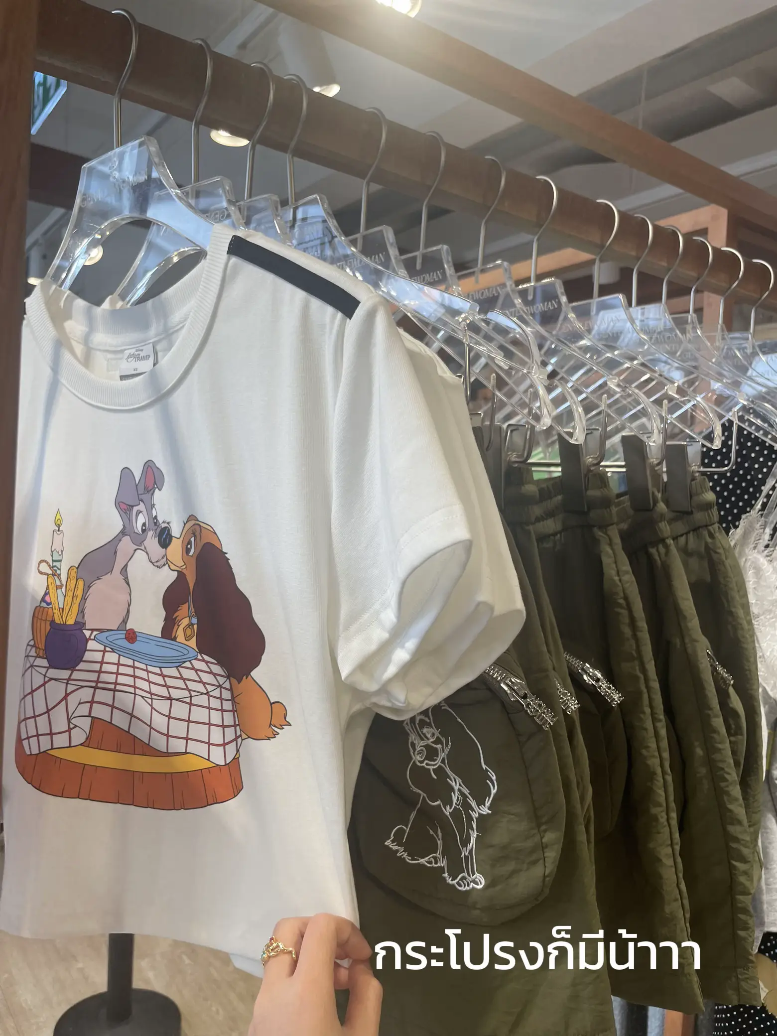 Gentlewoman lady & the tramp🐶🎀🫠 | แกลเลอรีที่โพสต์โดย Forthsarin | Lemon8