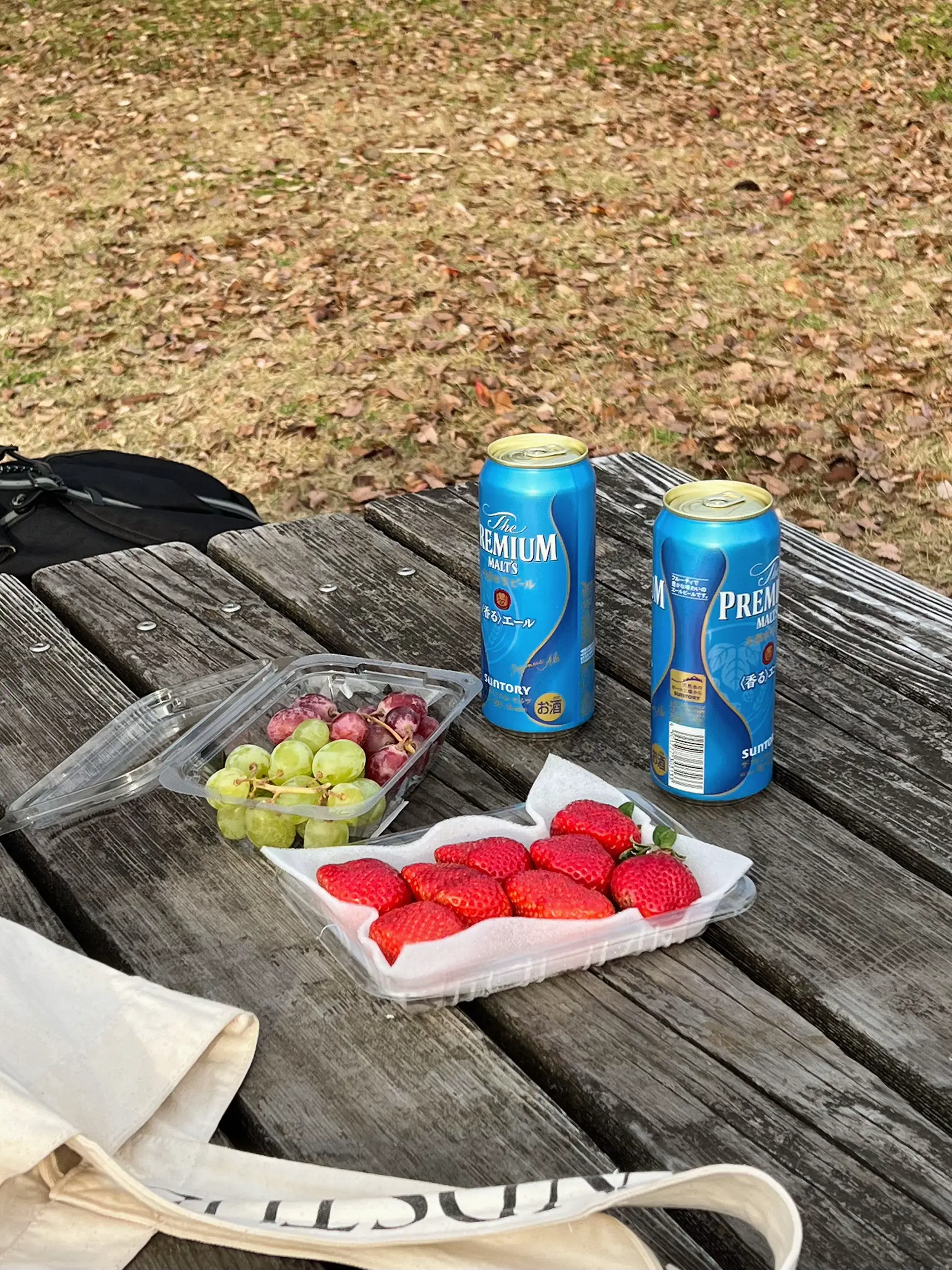 กิจกรรมสายชิลปิคนิคสวนในญี่ปุ่น | Tonari park in Japan 🍂🍁🎌 | แกลเลอรี ...